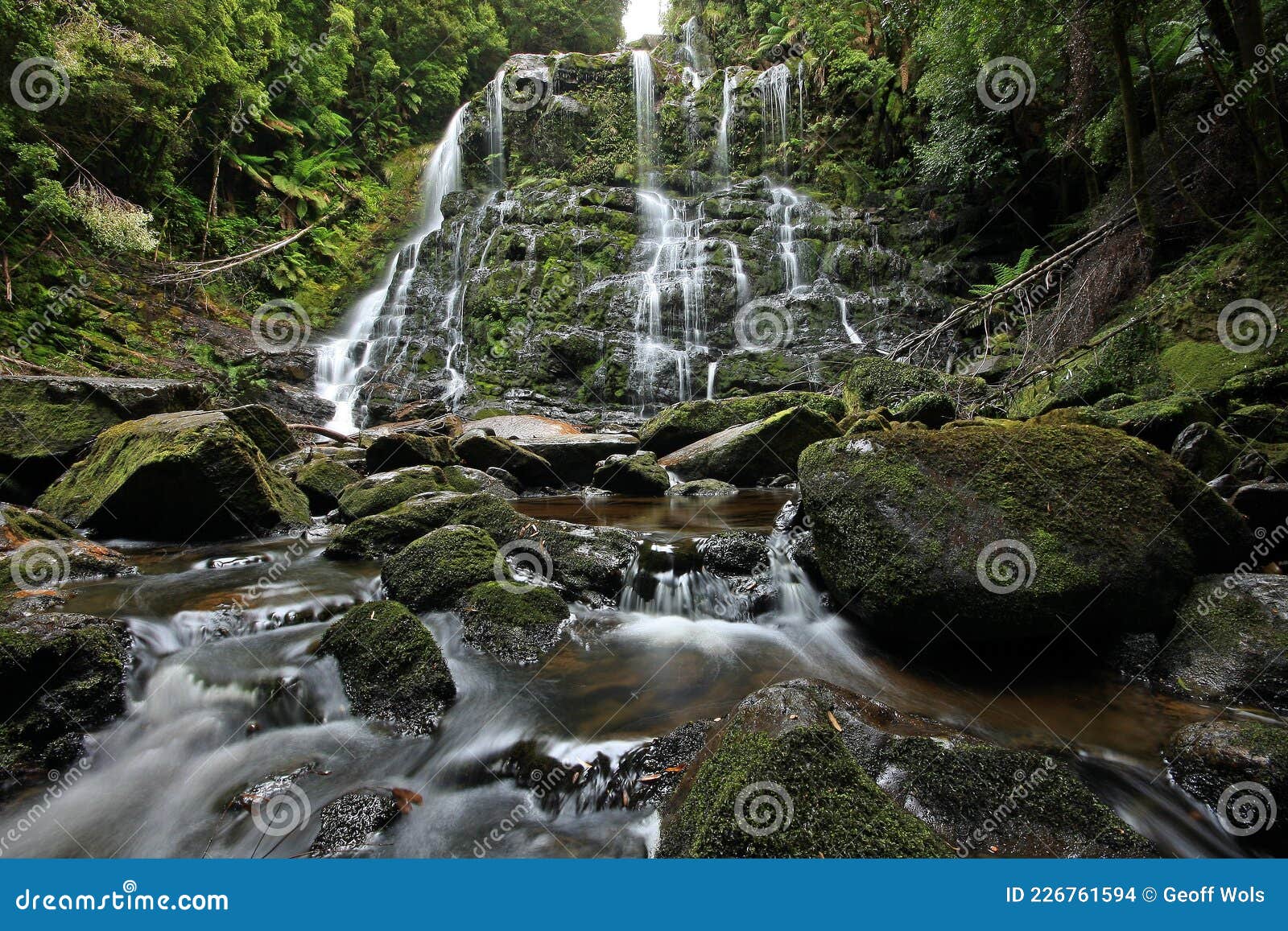 Nelson Falls Waterfall in Tasmania in Australia Stock Photo - Image of ...