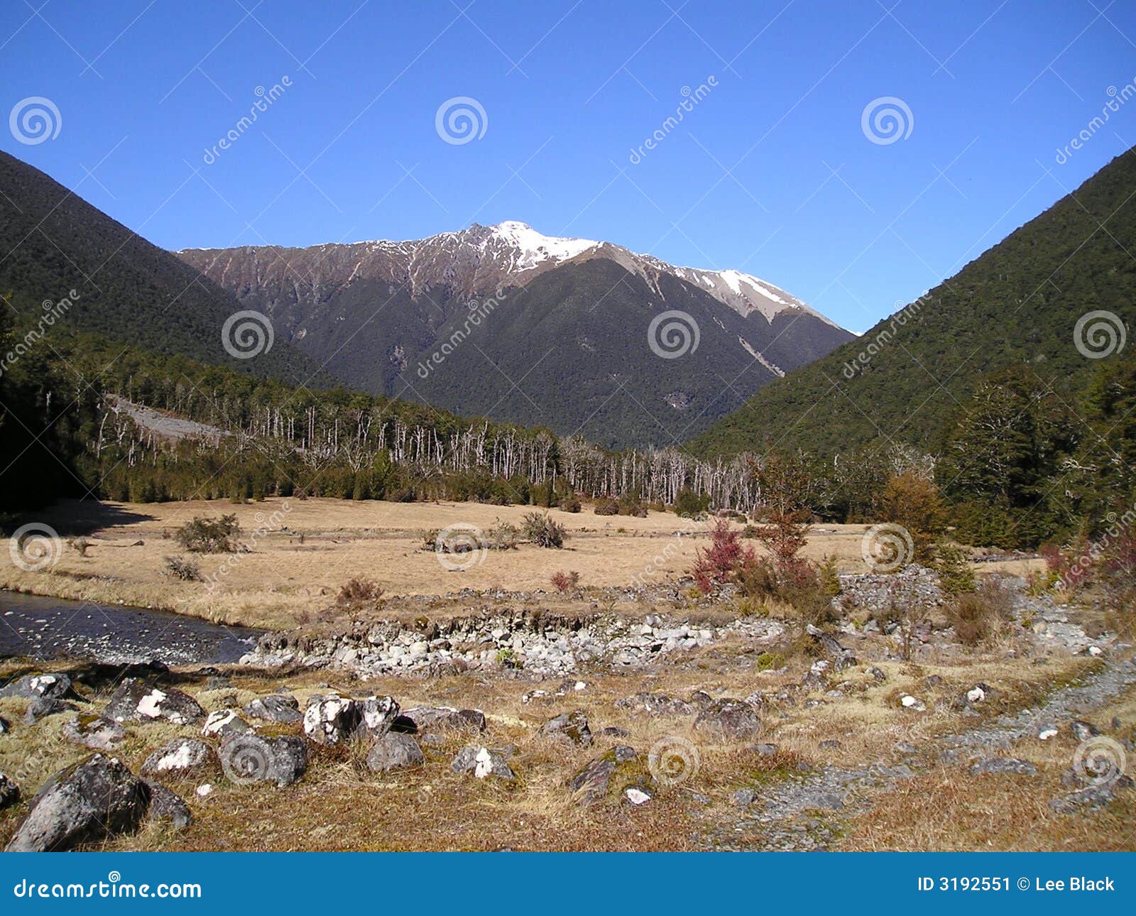 Nelson Lakes National Park stock image. Image of outdoors - 3192551
