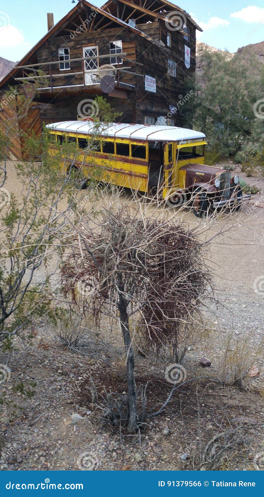 Nelsons Landing editorial photo. Image of nelsons, tree - 91379566