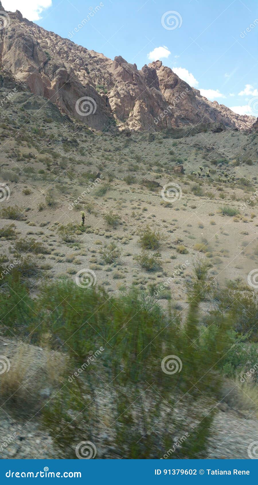 Nelsons Landing stock photo. Image of shrubland, grass - 91379602