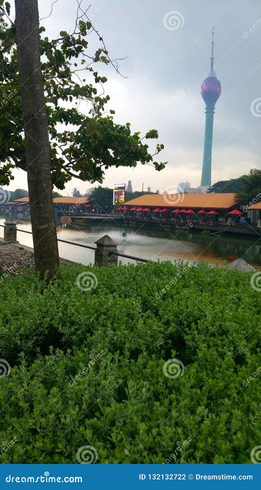 Beautiful Sri Lanka Nelum Pokuna Stock Photos - Free & Royalty-Free ...