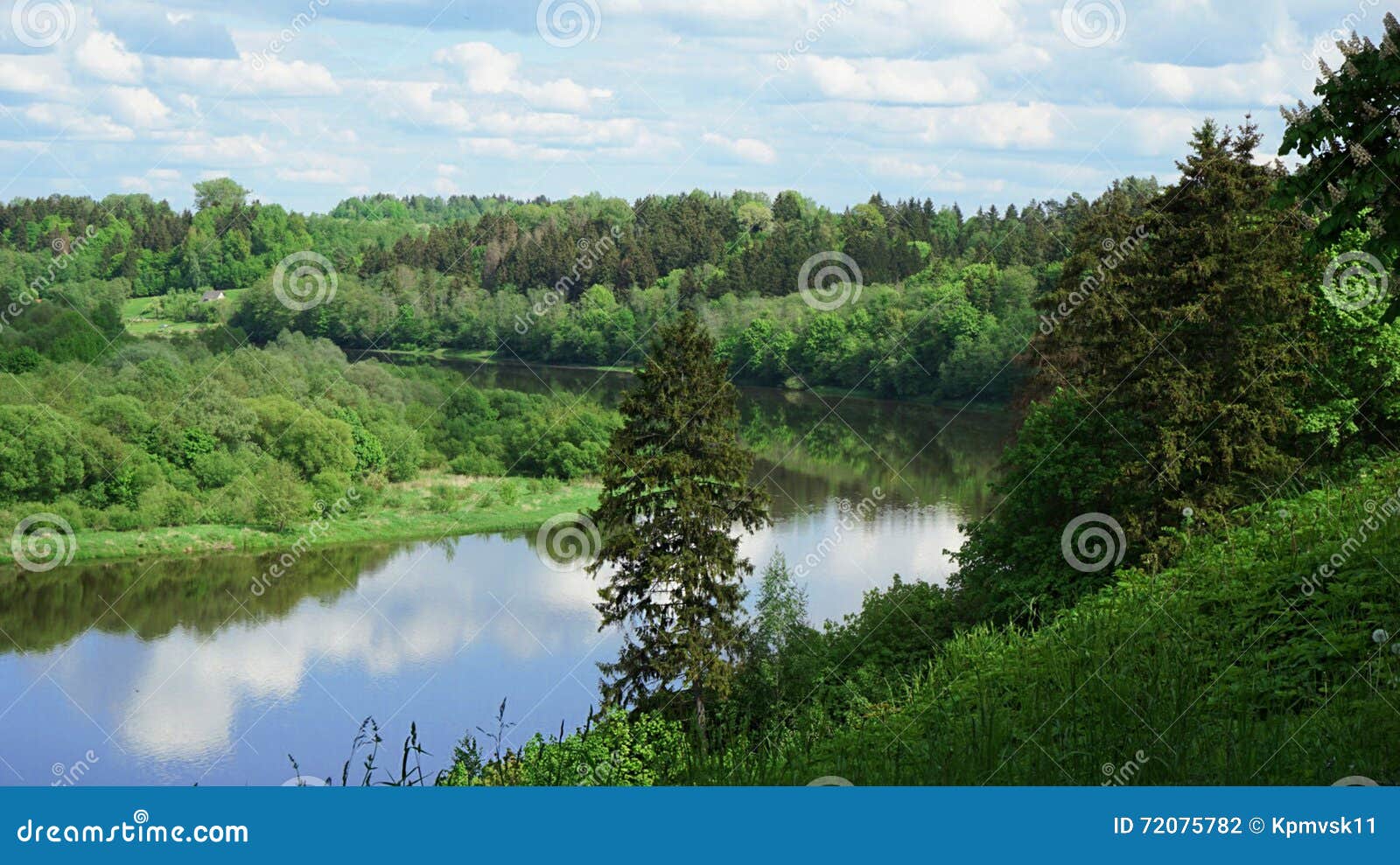 Nemunas stock photo. Image of lithuania, green, river - 72075782