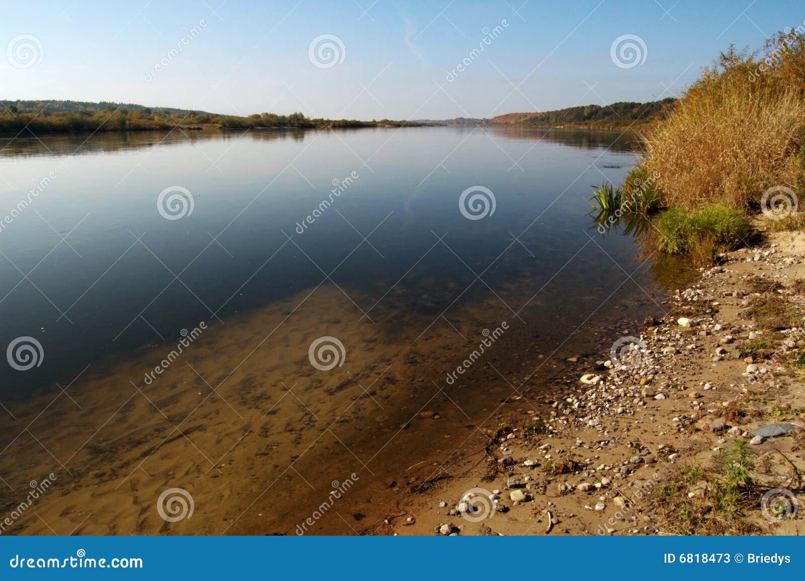 The Nemunas river stock image. Image of reed, fishing - 6818473