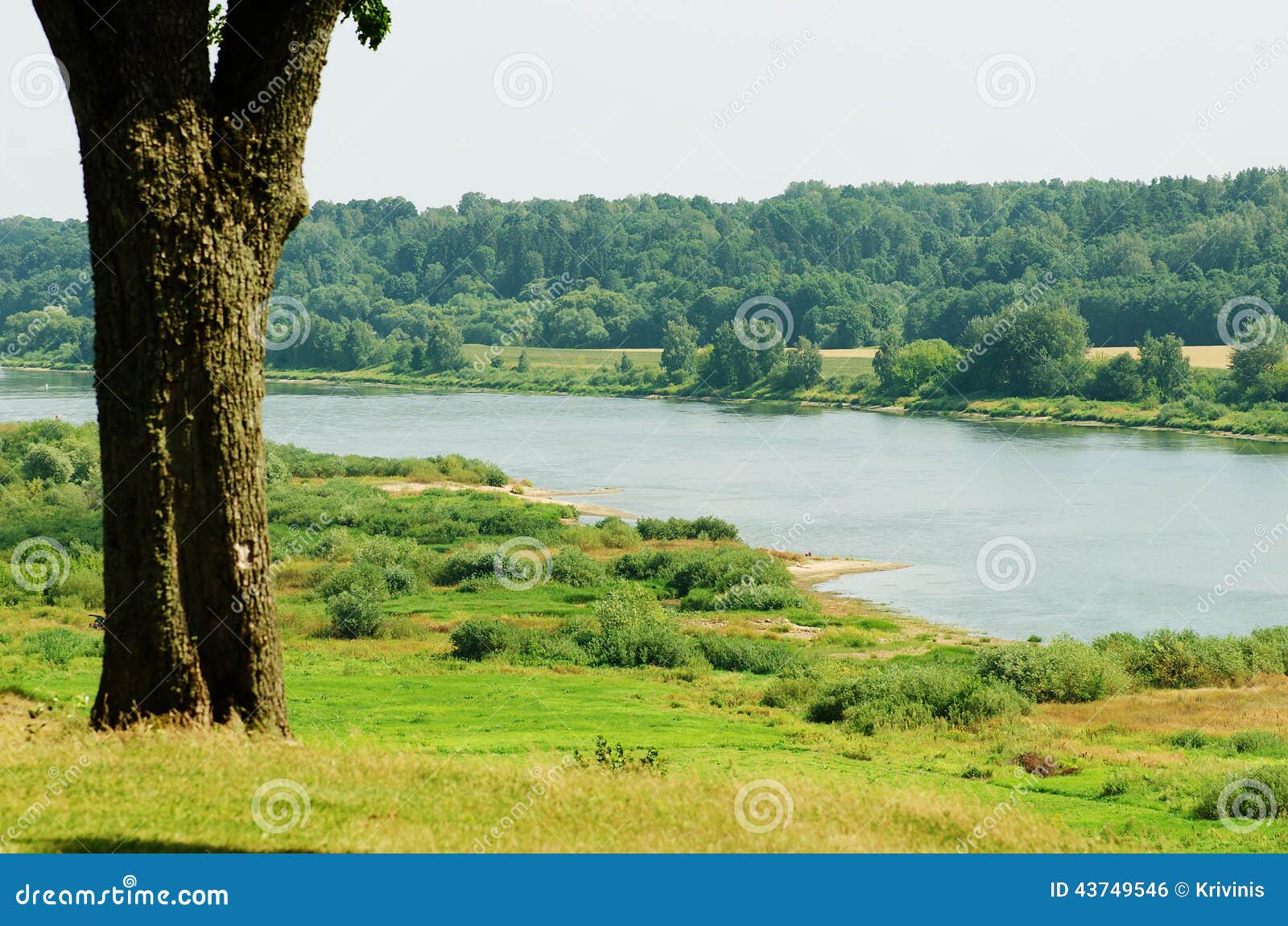Nemunas river in Lithuania stock photo. Image of tree - 43749546