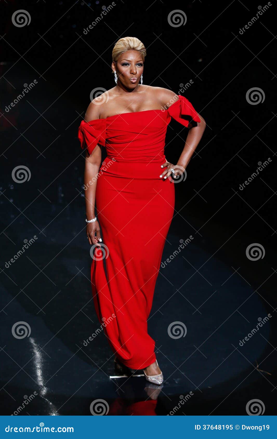 Nene Leakes editorial image. Image of lincoln, fashion - 37648195