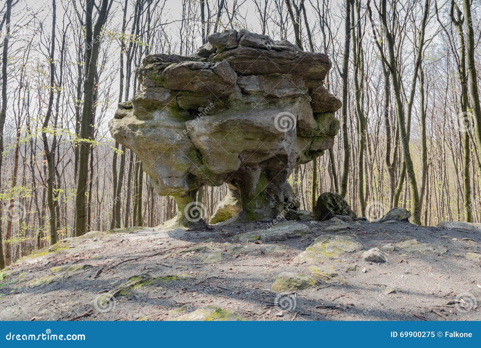 Neolithic Huge Stone in Forest Stock Image - Image of rural, county ...