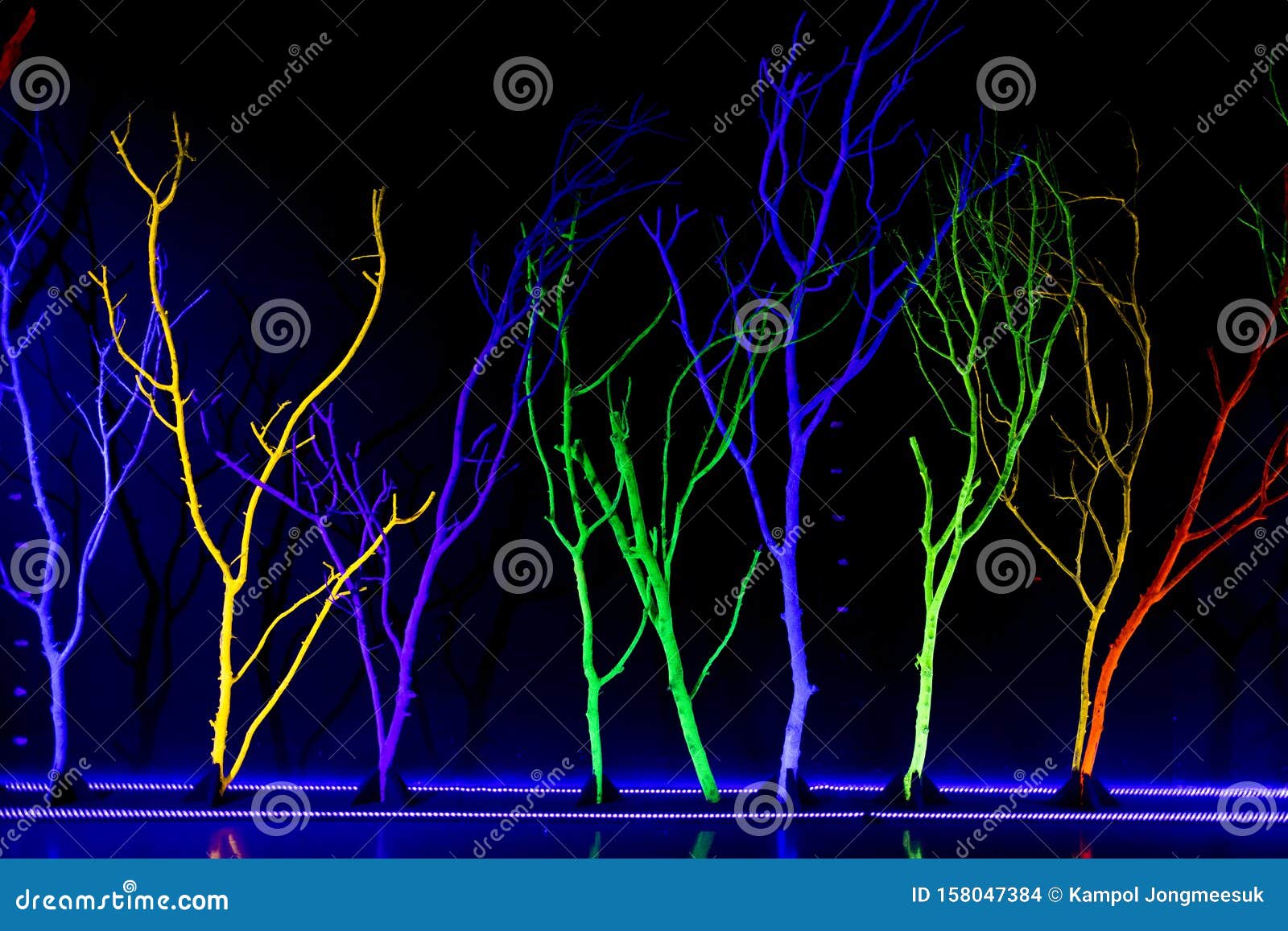 Neon Black Tree, Reflective Colorful Display Stock Photo - Image of ...