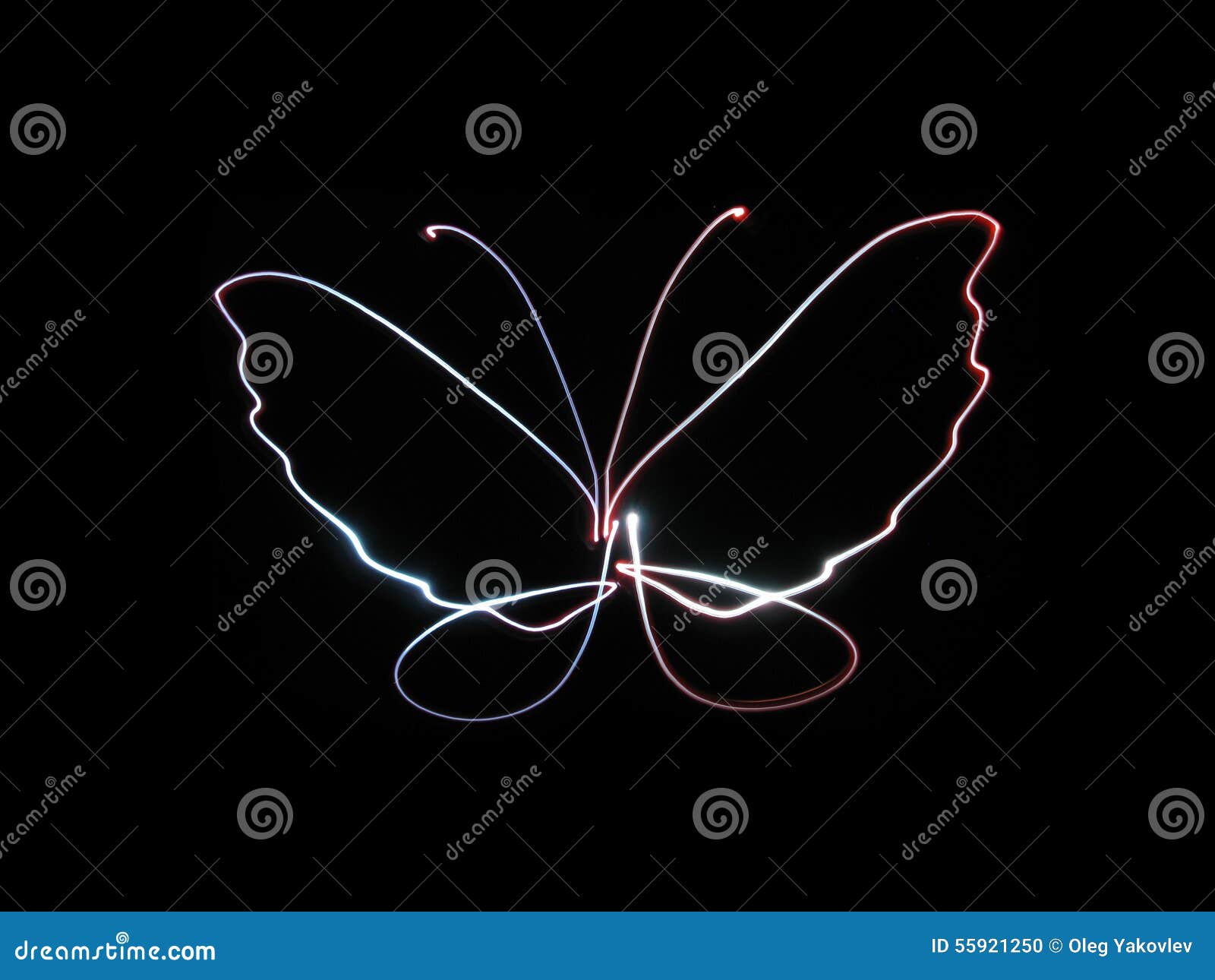 Neon butterfly stock photo. Image of light, lightning - 55921250
