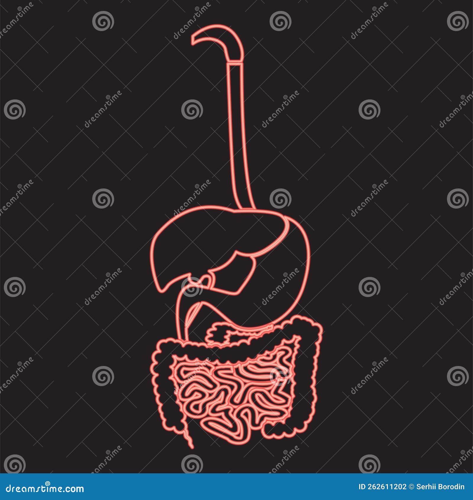 Neon Digestive System Red Color Vector Illustration Image Flat Style ...