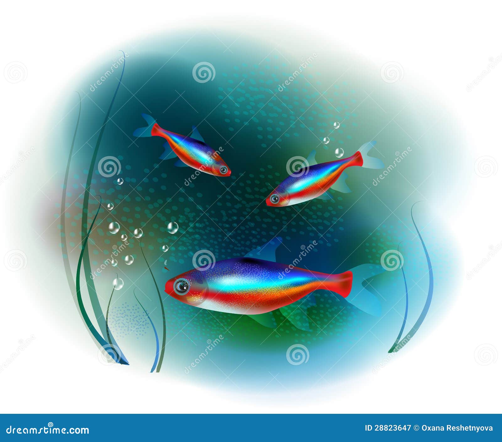 Neon Fish Royalty Free Stock Photography - Image: 28823647