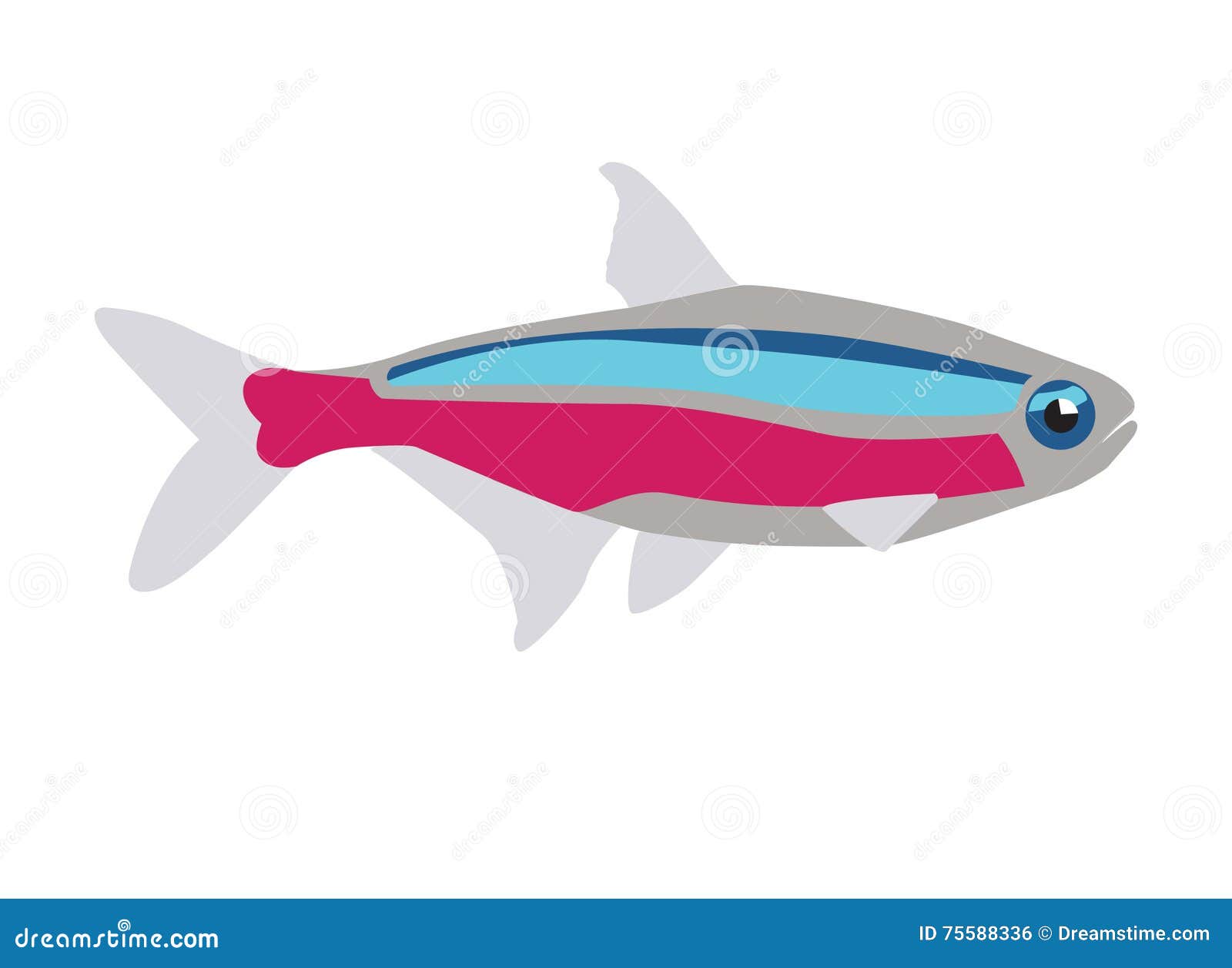 Neon fish stock vector. Illustration of small, tetra - 75588336