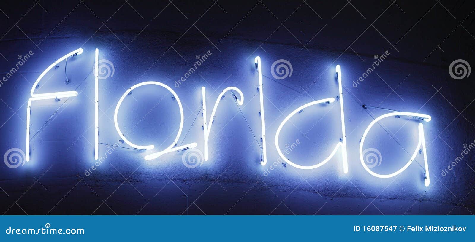 Neon Florida Sign stock image. Image of signage, composition - 16087547