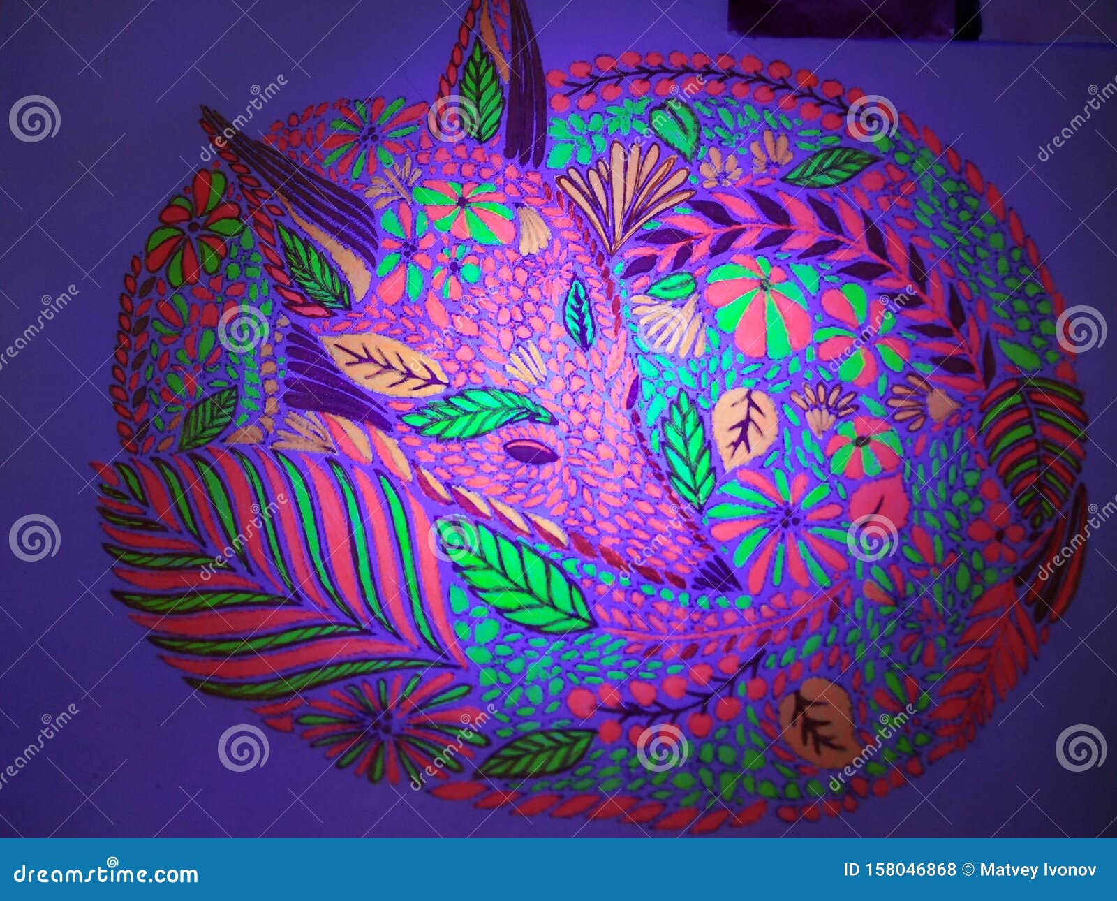 Neon fox stock photo. Image of neon, beauty, cool, night - 158046868
