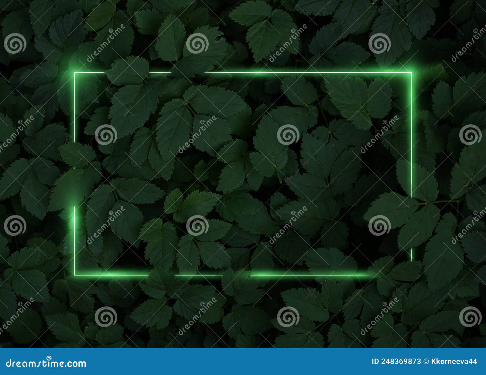 Neon Frame with a Bright Glow on the Background of Green Tropical ...