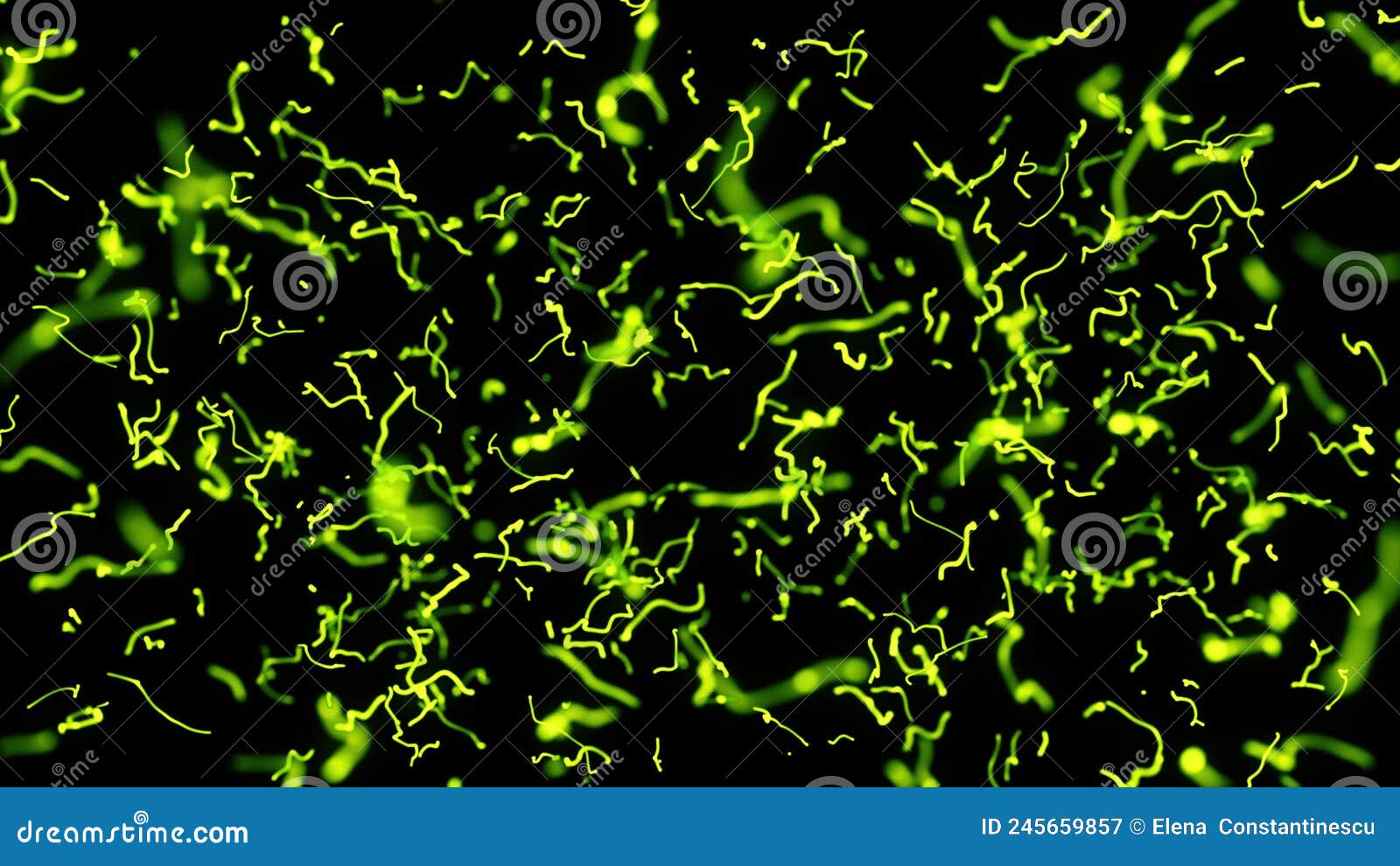 Green Strings Loop stock video. Video of motion, graphic - 245659857