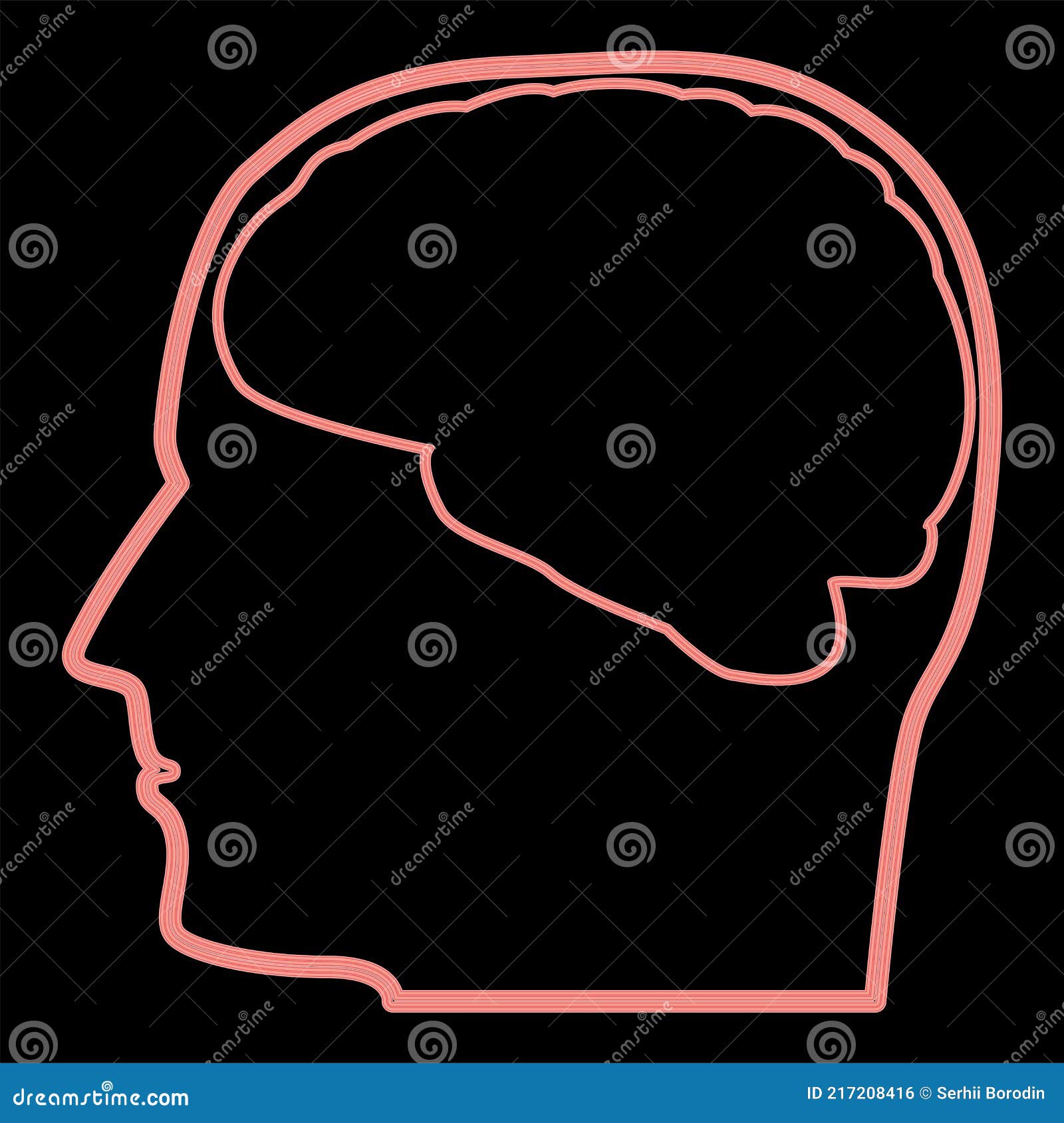 Neon Cat Head, Glowing Icon. Neon Kitten Face With Whiskers, Cute And ...