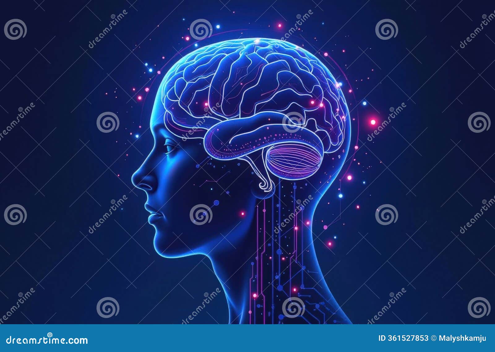 Neon Human Brain with Circuitry - Side View of Female Profile Stock ...