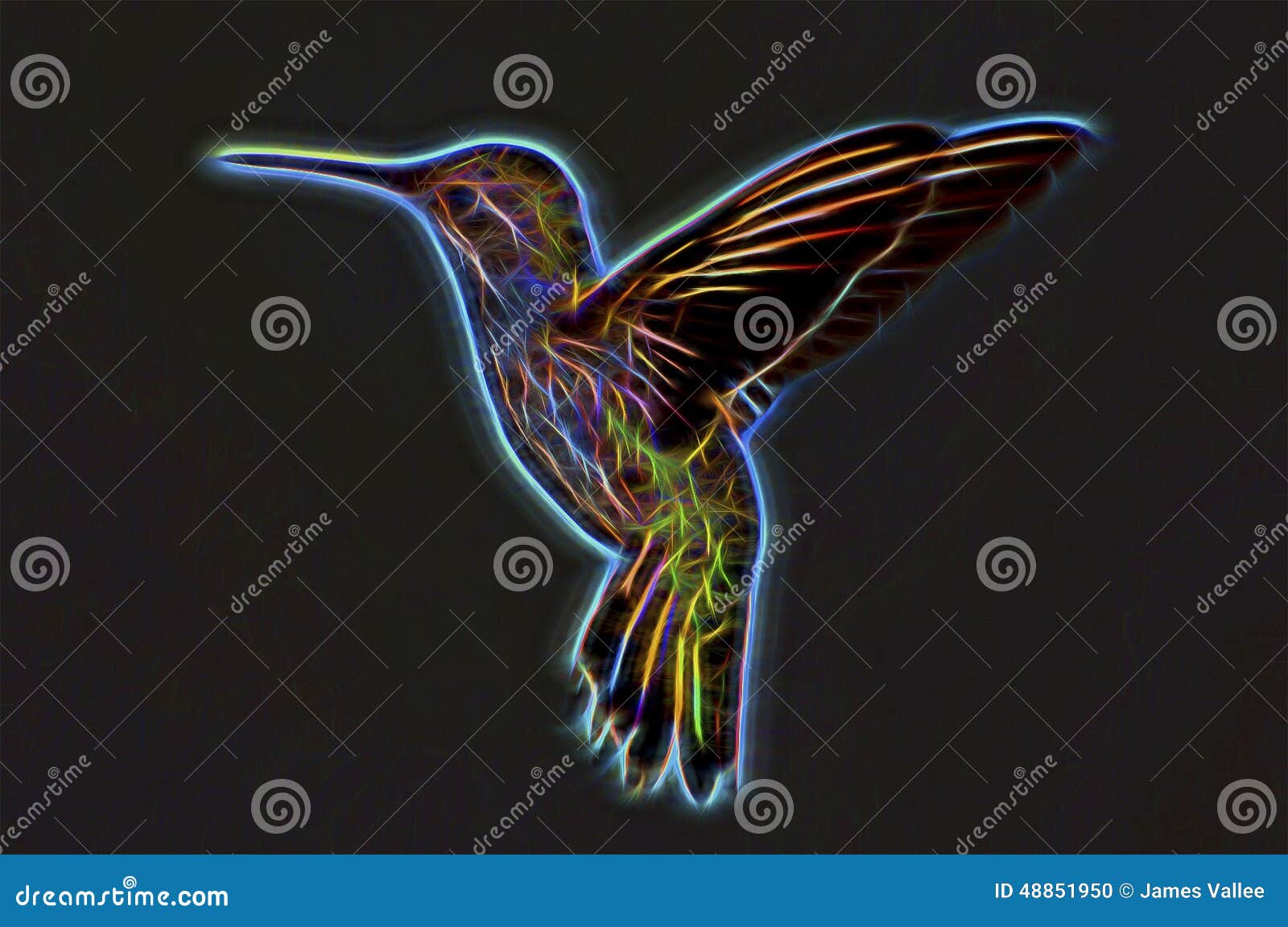 Neon Hummingbird stock photo. Image of flight, exotic - 48851950