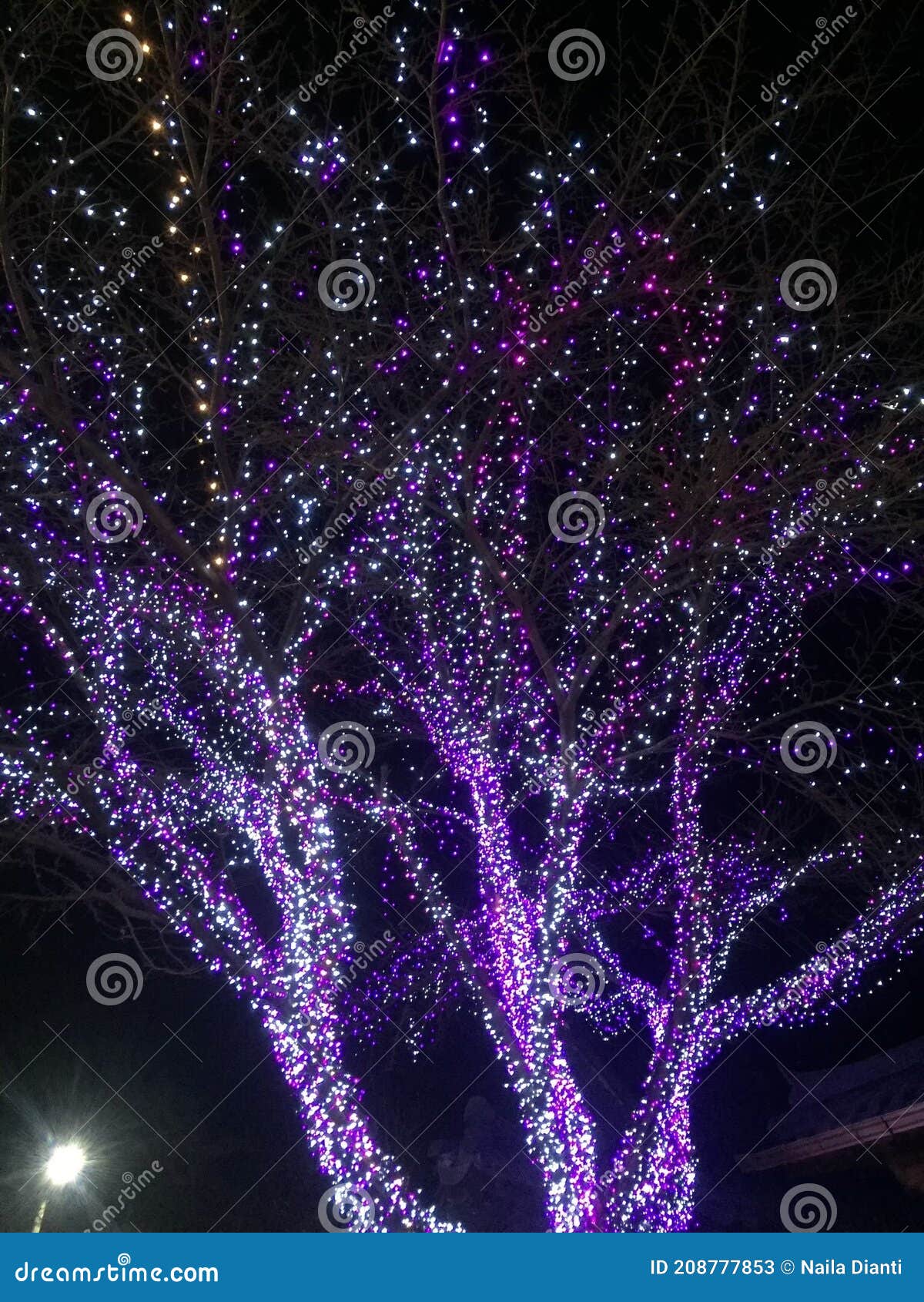 Neon light tree stock image. Image of neon, tree, cool - 208777853