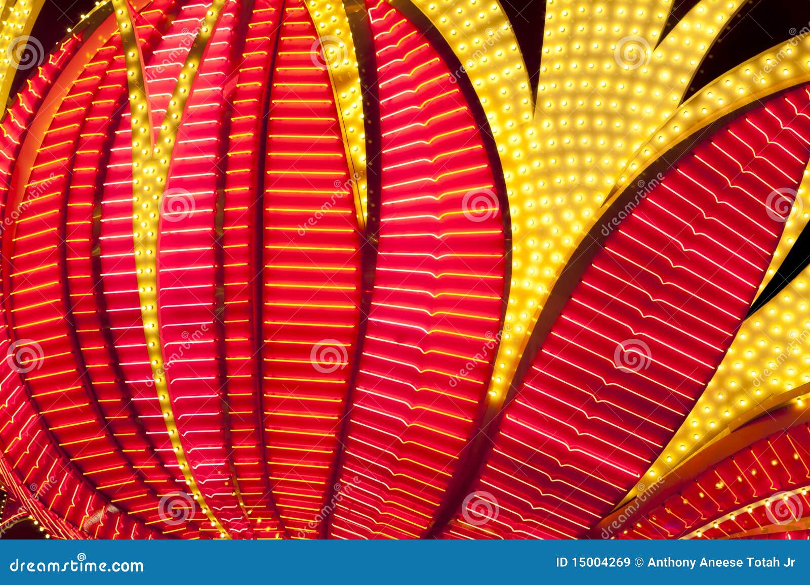 Neon Lights stock image. Image of electricity, lights - 15004269