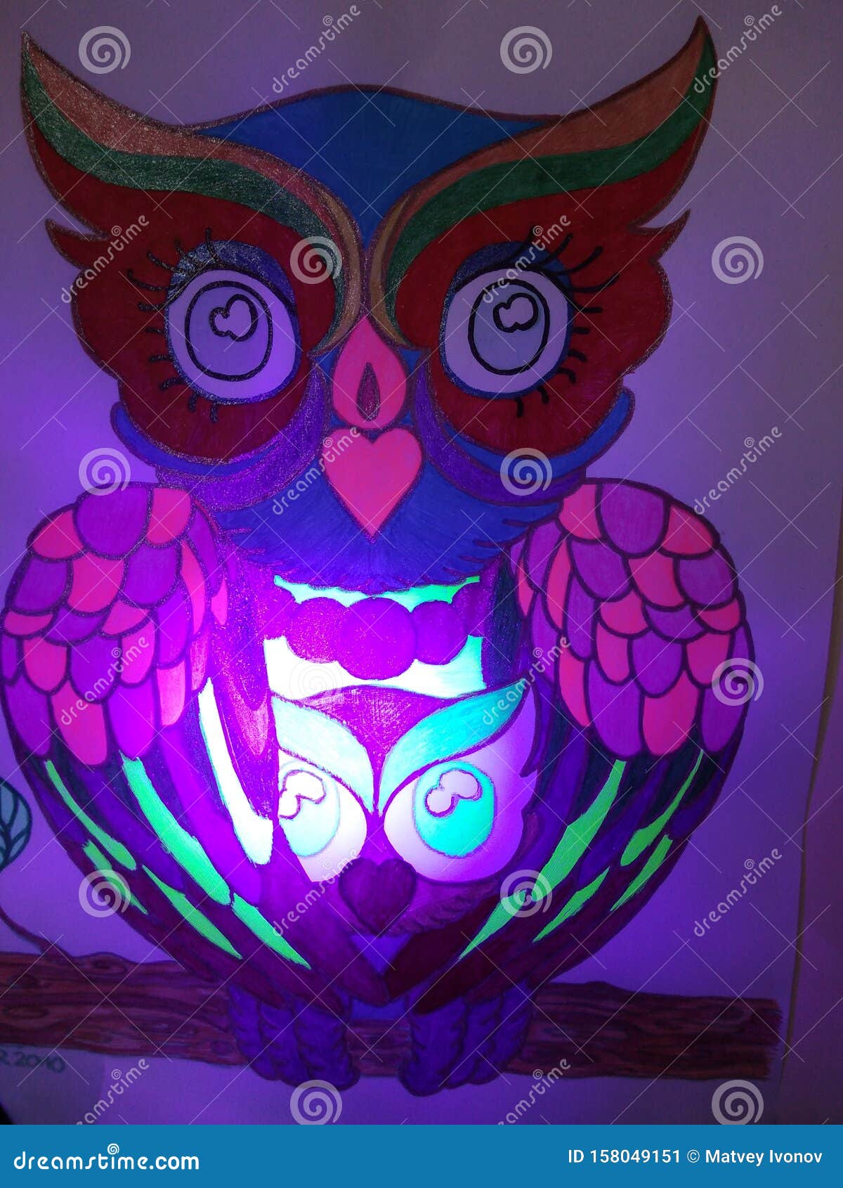 Neon owl stock image. Image of lite, bird, beauty - 158049151