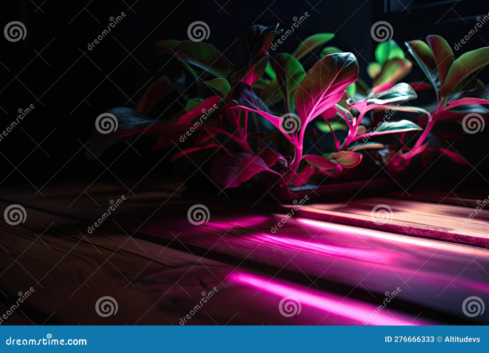 Neon Plant Growing on Wooden Floor, with Dramatic Light Effect Stock ...