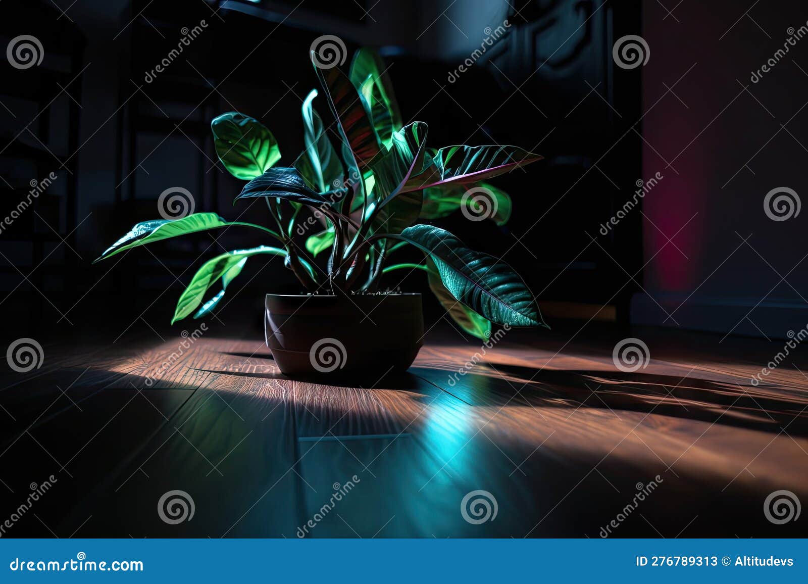 Neon Plant Growing on Wooden Floor, with Dramatic Light Effect Stock ...