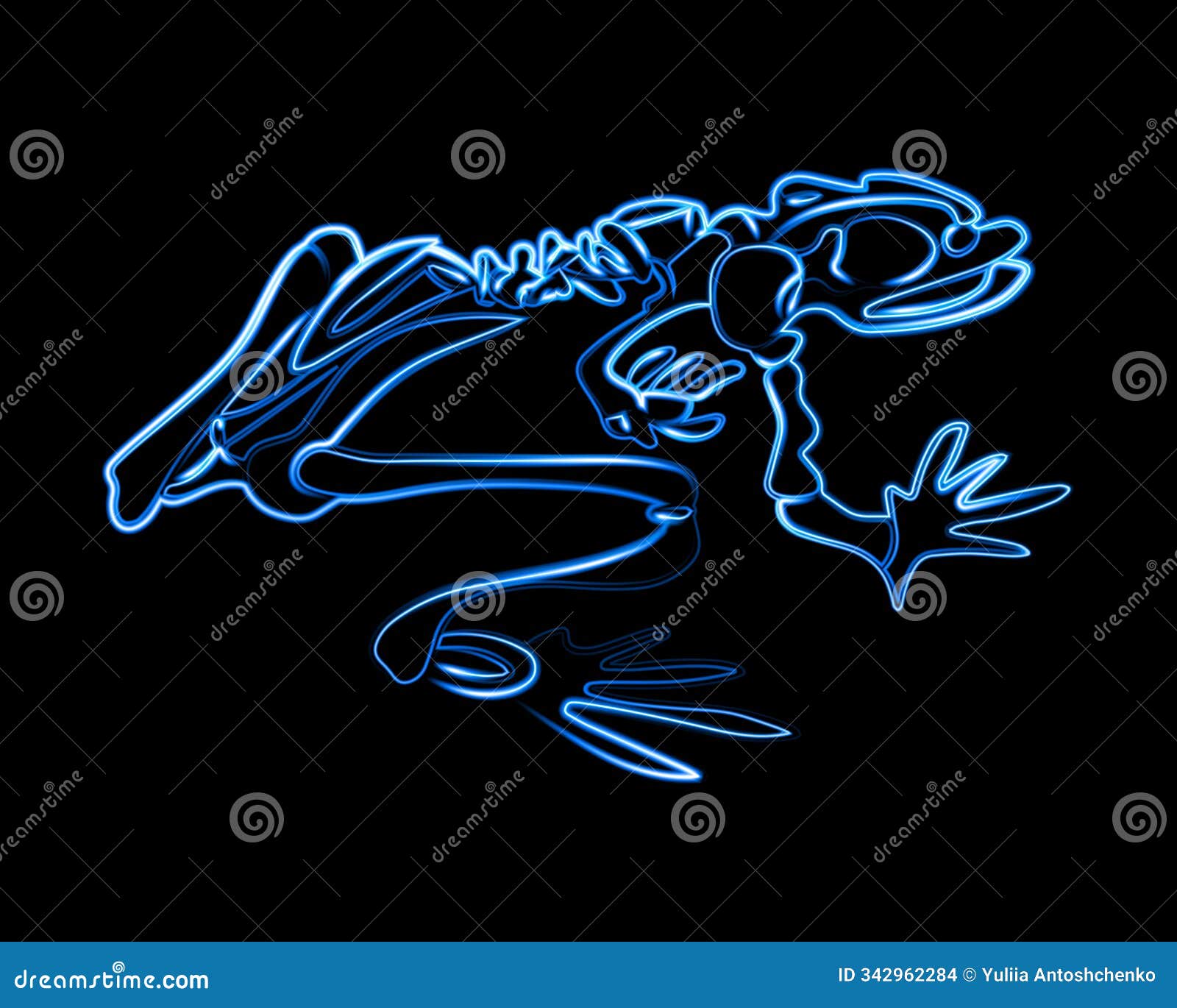 The Neon Representation of a Frog Skeleton Highlights Its Unique Bone ...