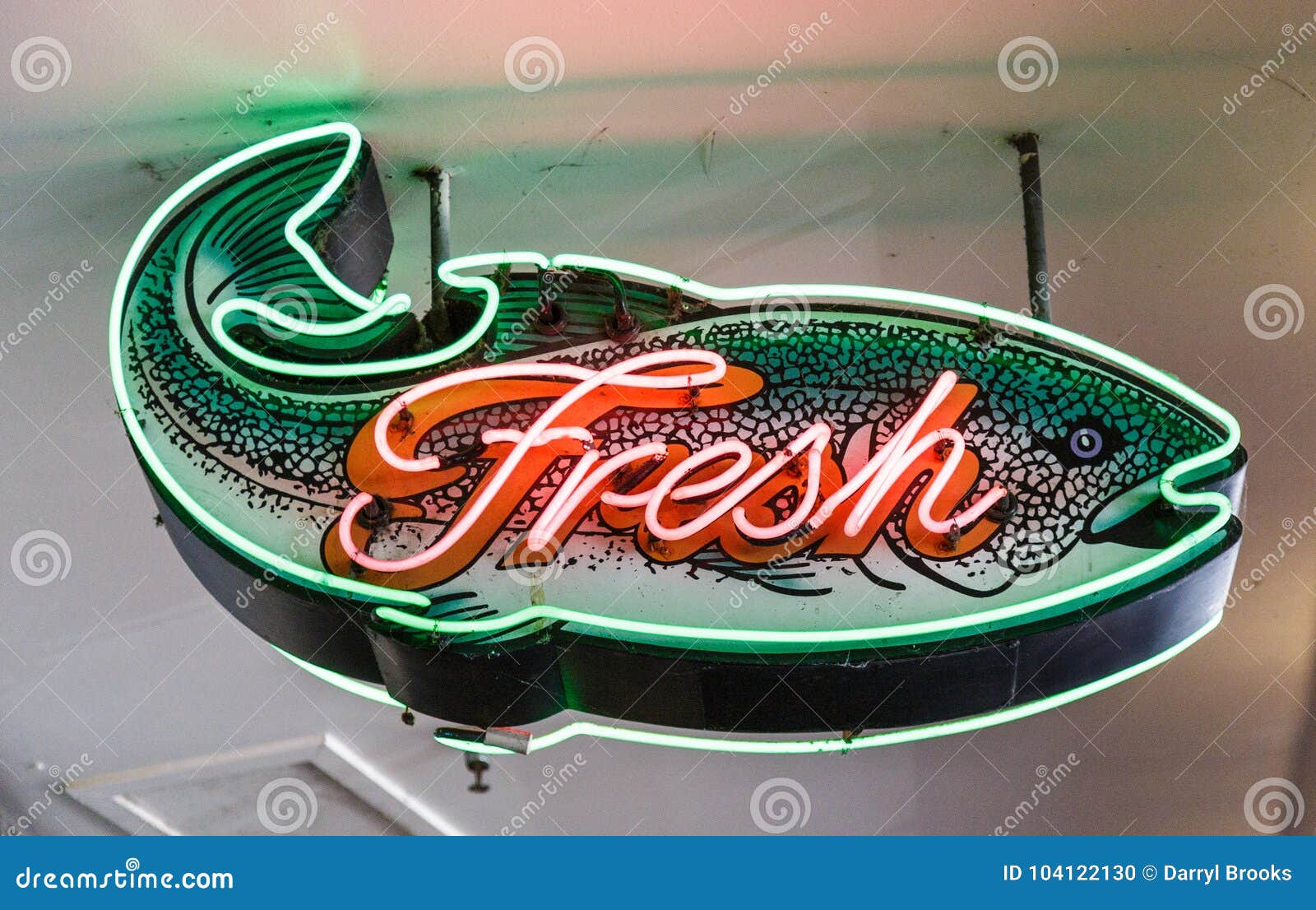 Neon Sign for Fresh Fish stock photo. Image of neon - 104122130