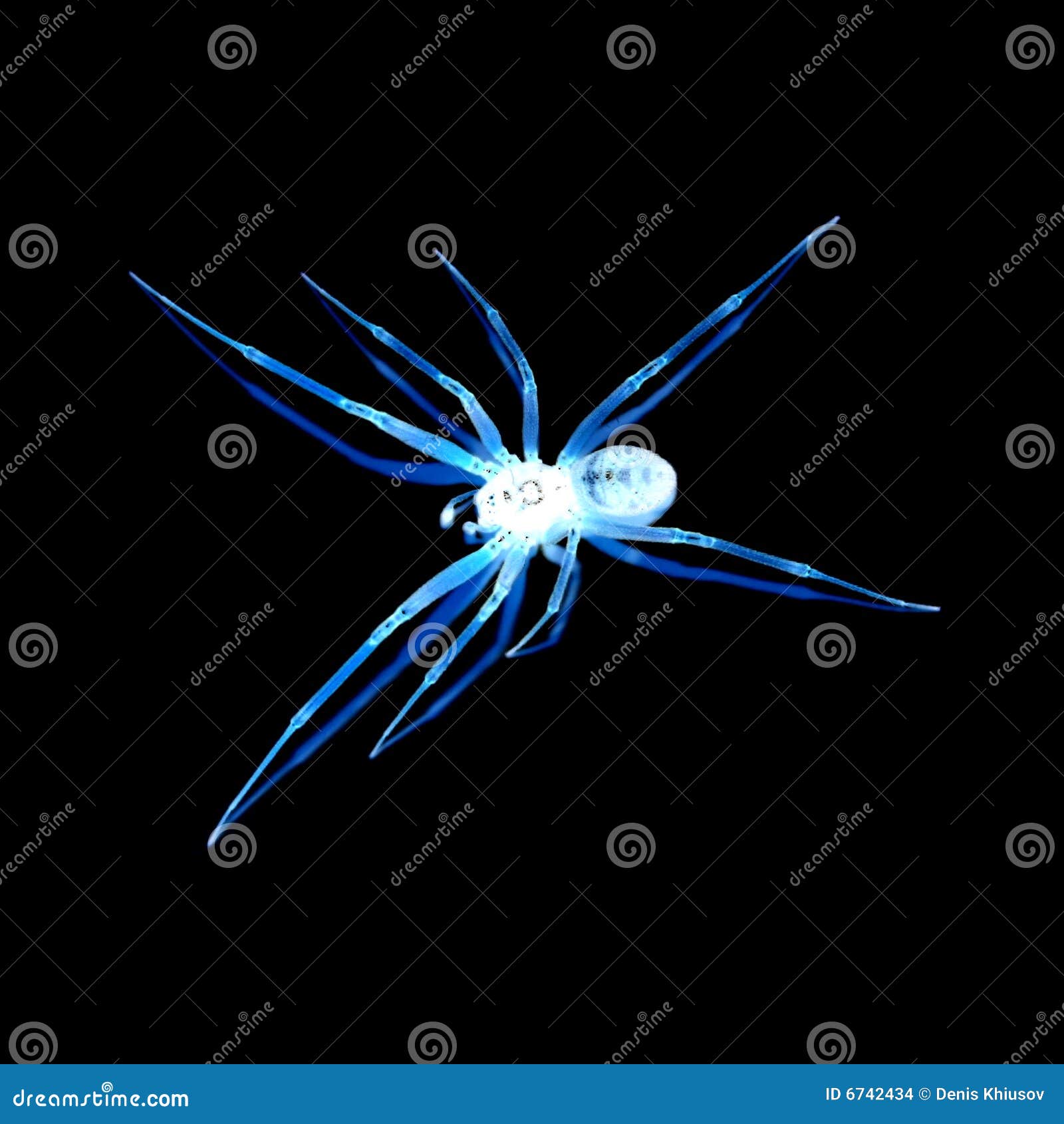 Neon spider stock photo. Image of spider, fluorescence - 6742434