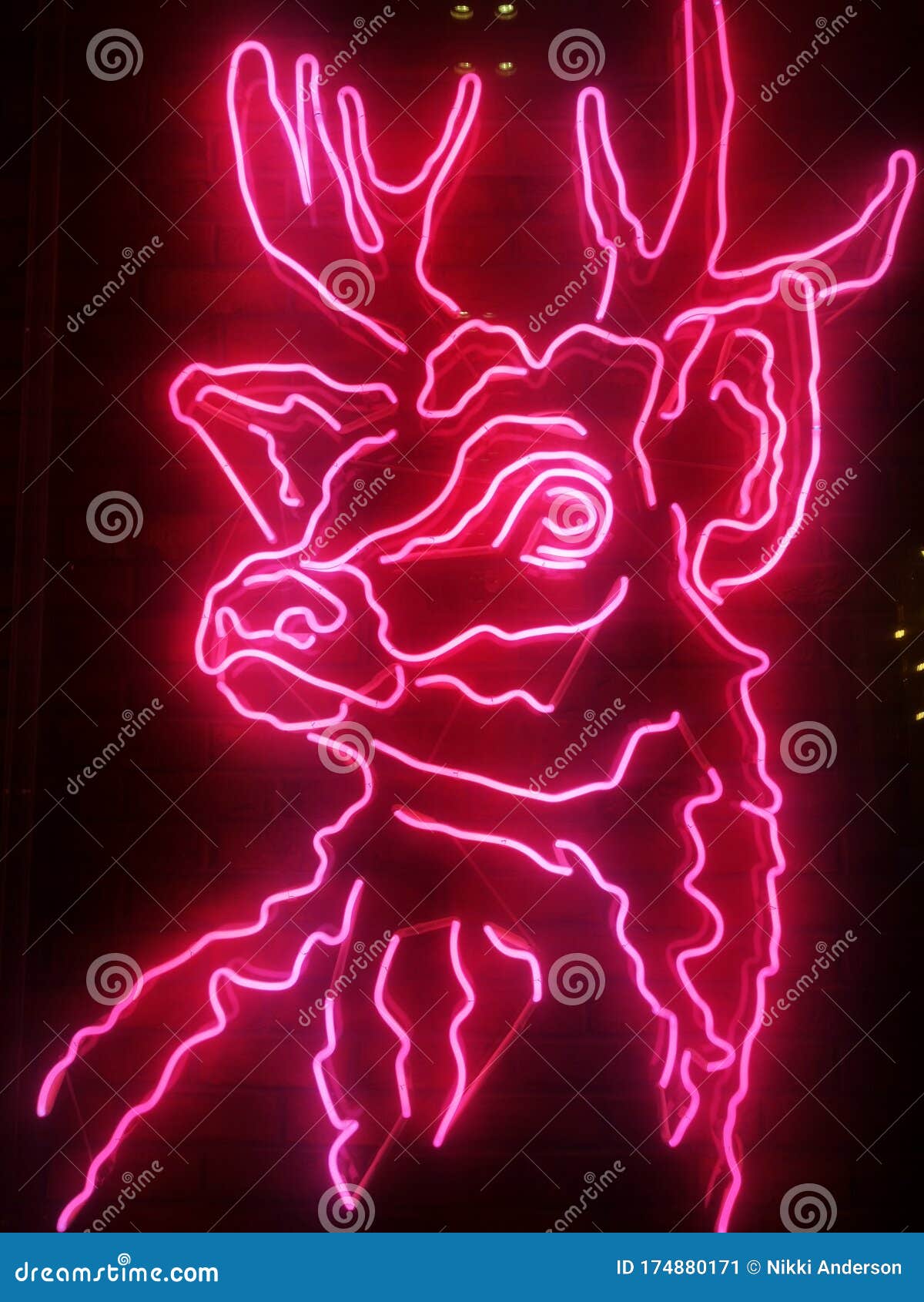 Neon Stag Light stock image. Image of pink, scottish - 174880171
