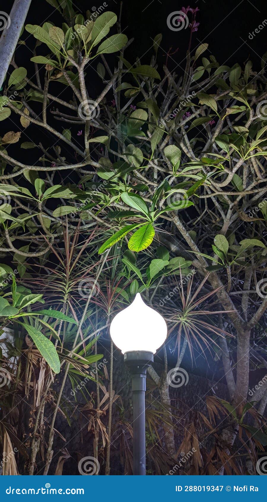 Neon three night bush led stock image. Image of three - 288019347