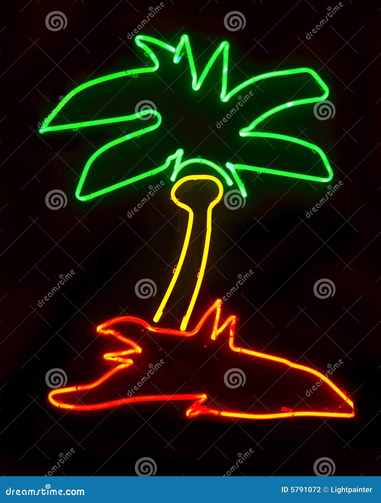 Neon tree stock photo. Image of neon, light, beach, color - 5791072