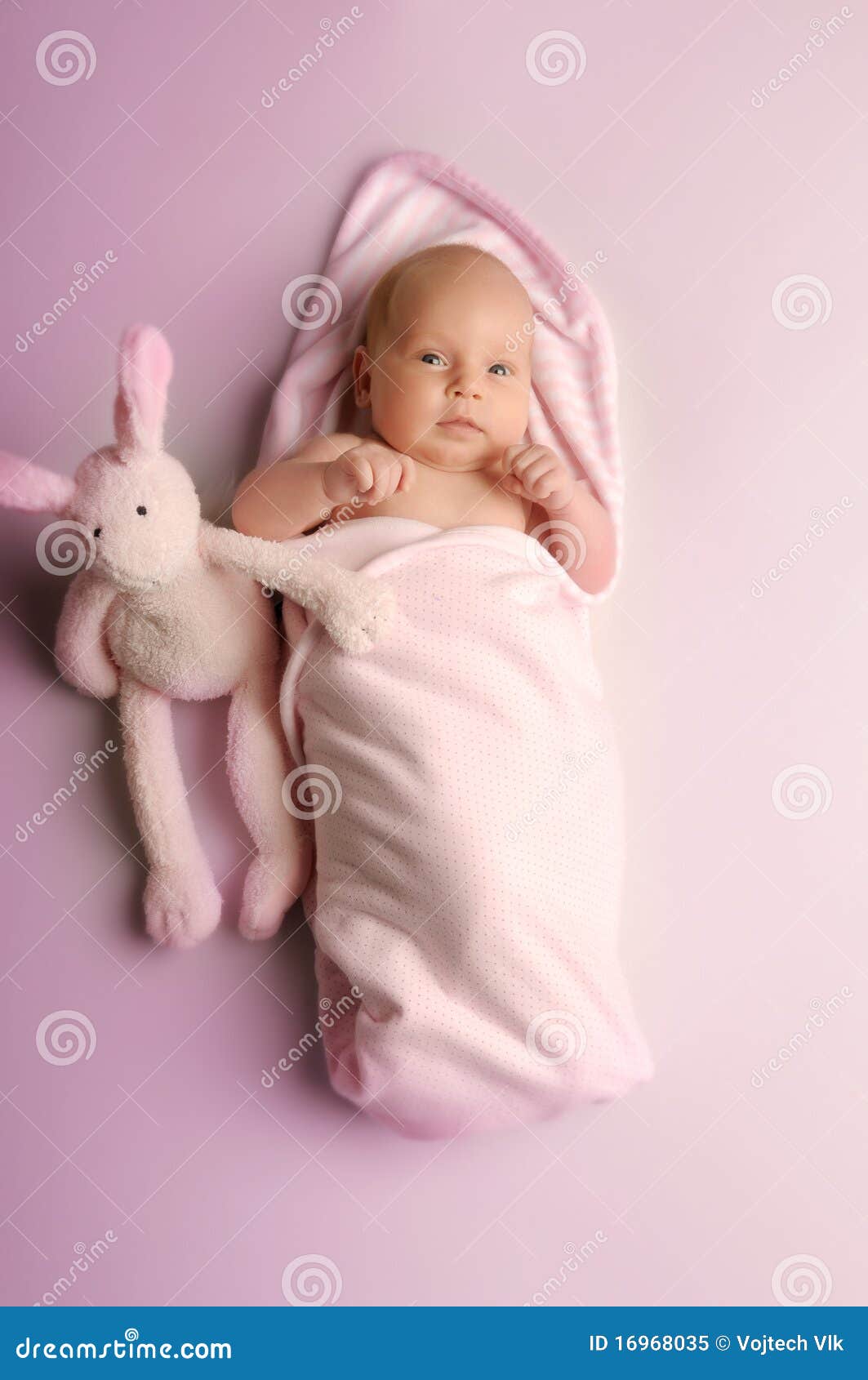 Neonate stock image. Image of endearing, dark, small - 16968035