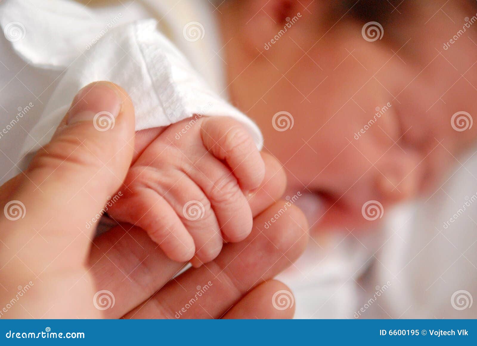 A neonate and its hand stock image. Image of nursling - 6600195