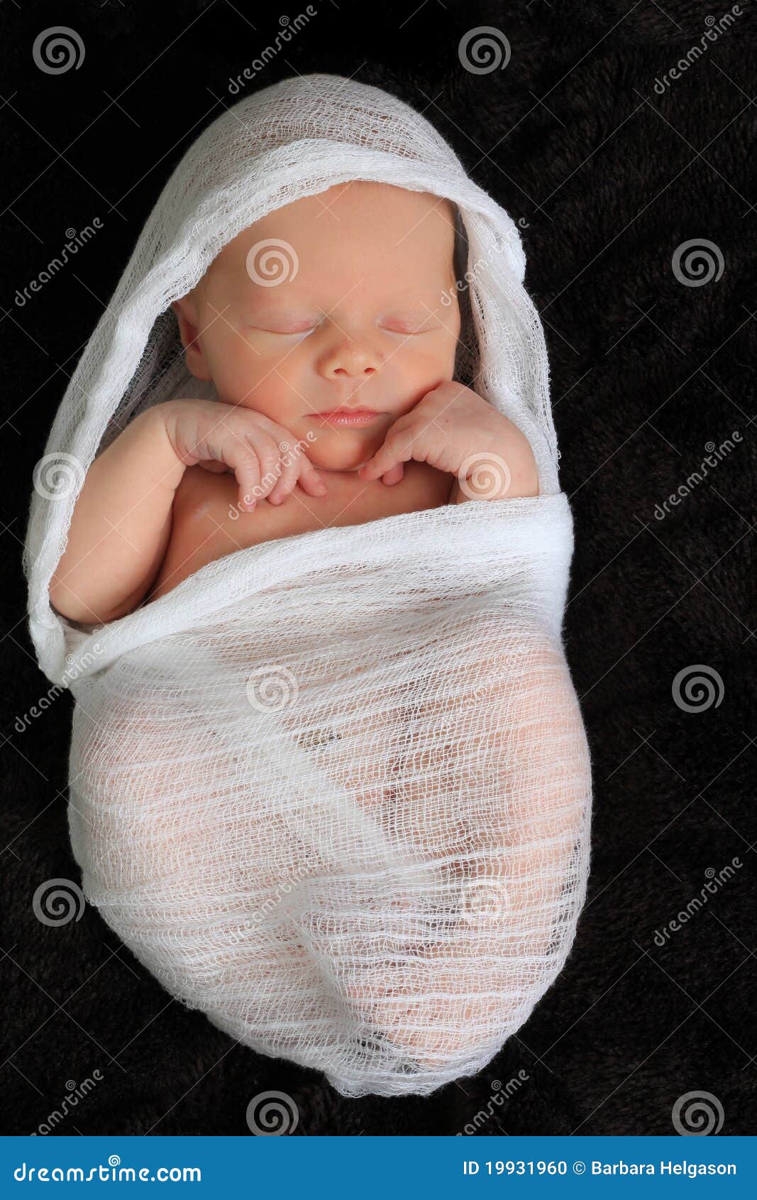 Neonato appena nato fotografia stock. Immagine di confortevole - 19931960