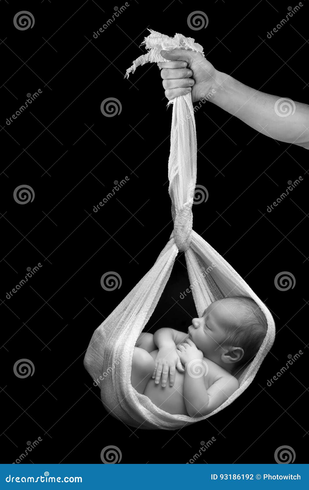 Neonato Che Appende in Un'imbracatura Fotografia Stock - Immagine di ...