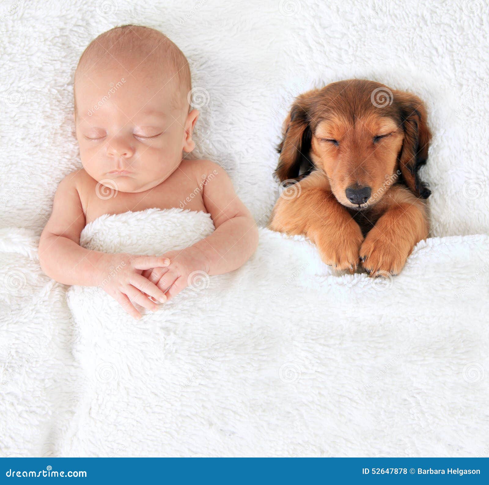 Neonato e cucciolo fotografia stock. Immagine di amico - 52647878