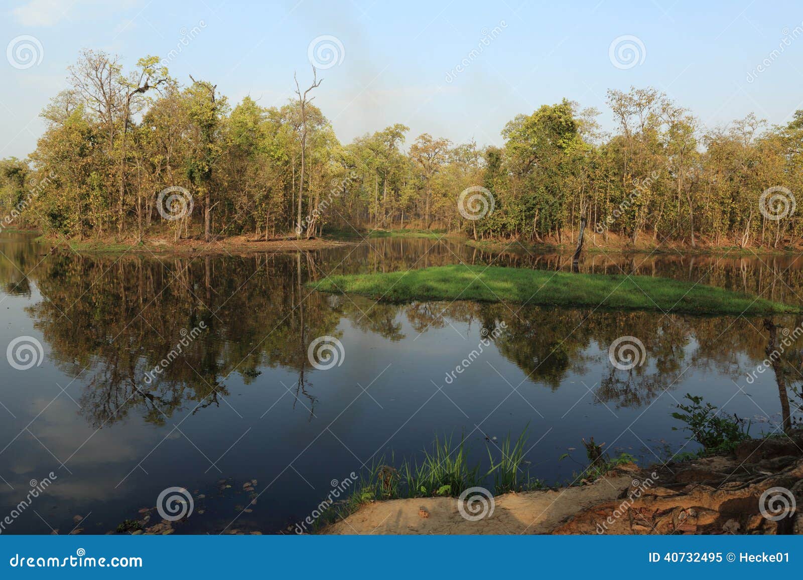 Nepal Nationalpark Chitwan stock image. Image of national - 40732495