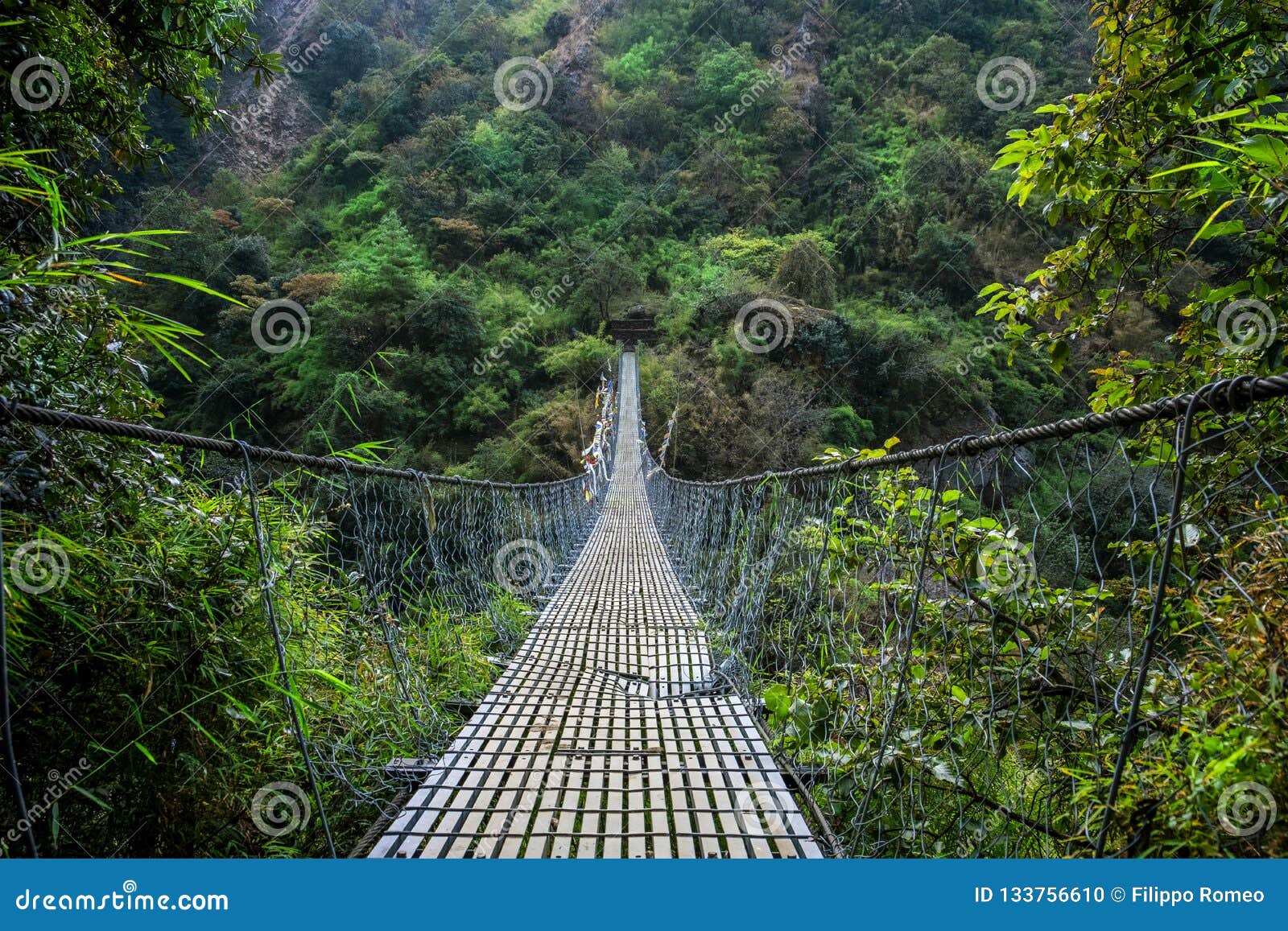 Nepal Suspension Bridge Langtang Valley Stock Photo - Image of hanging ...