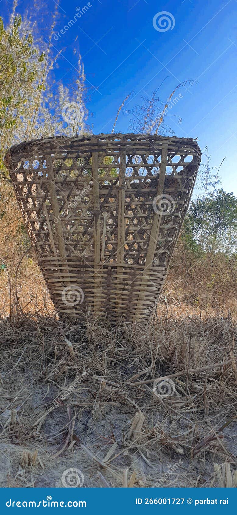 Nepali doko pic in forest stock image. Image of nepali - 266001727