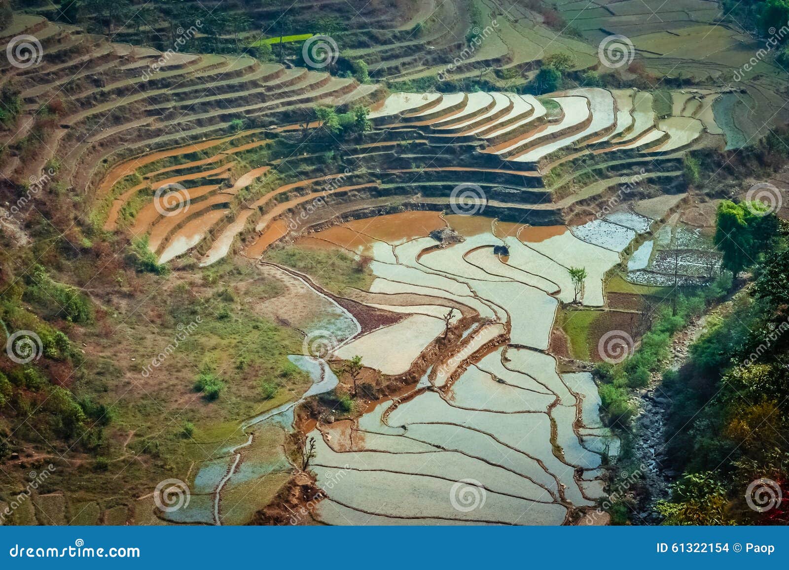 Nepali ricefields stock photo. Image of agriculture, harvesting - 61322154