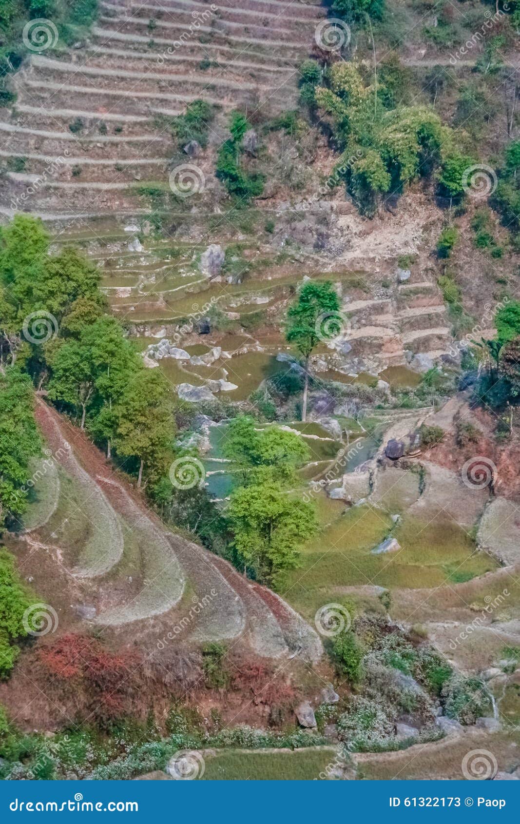 Nepali ricefields stock image. Image of meadow, crops - 61322173