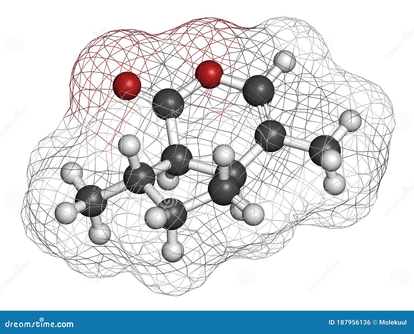 Nepetalactone Catnip Cat Attractant Molecule. Skeletal Formula. Cartoon ...