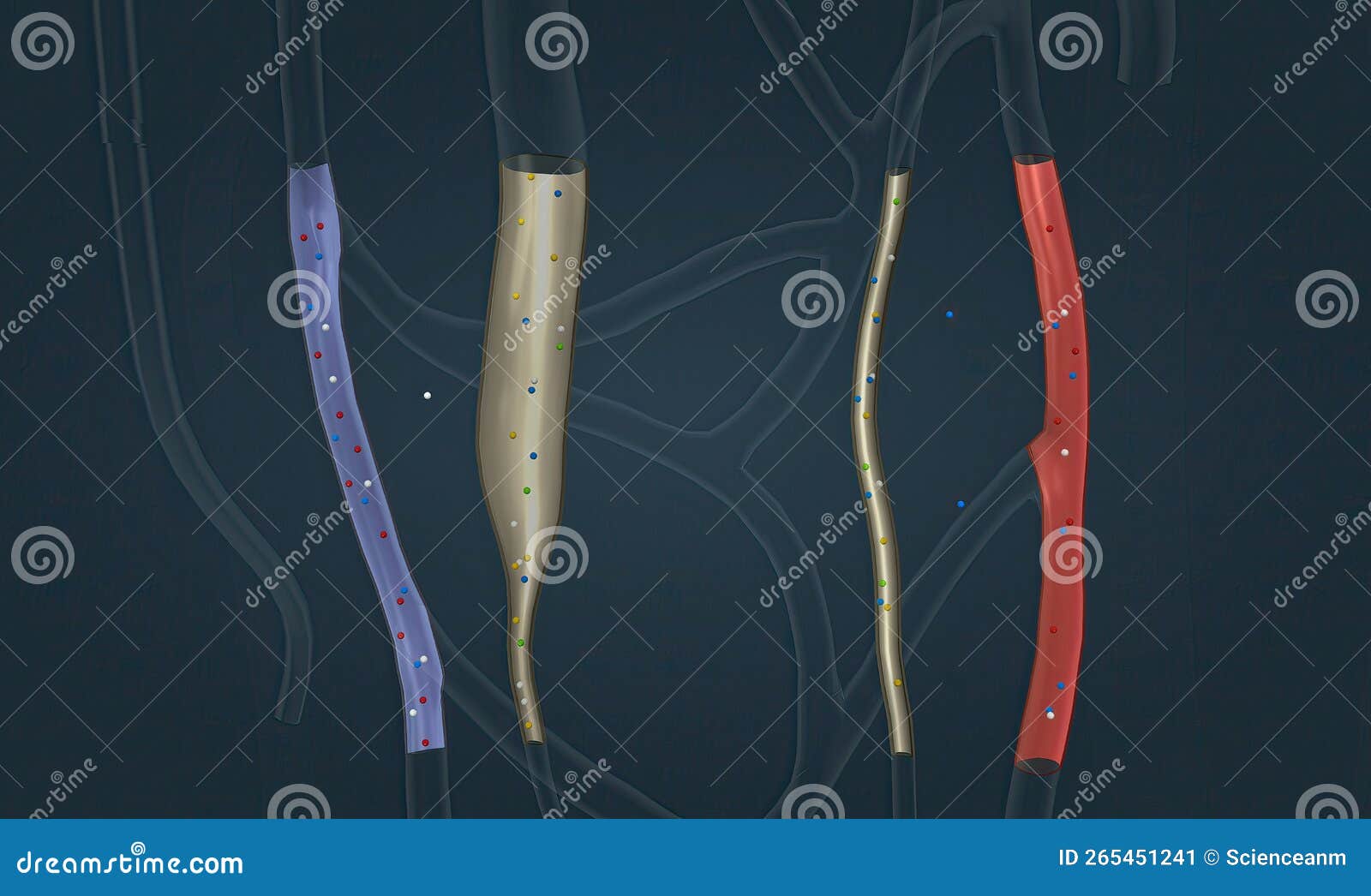 Nephron, the Structure that Actually Produces Urine in the Process of ...