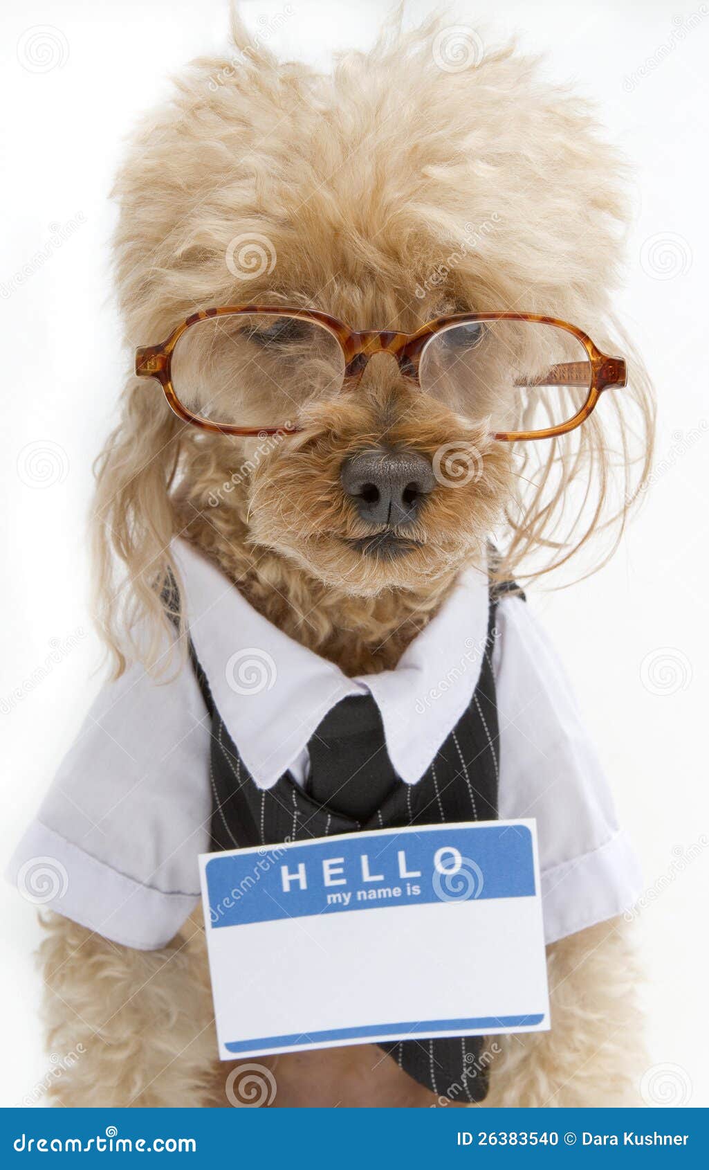 Nerdy Stranger stock photo. Image of isolated, shell - 26383540