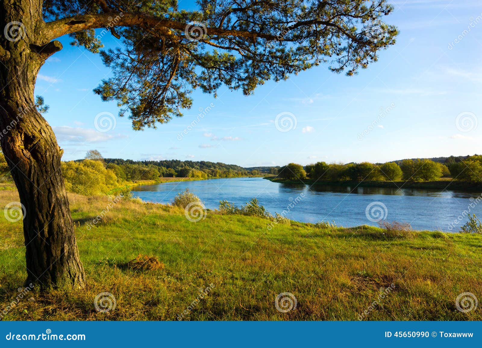 Neris River stock photo. Image of vilnius, tree, panorama - 45650990