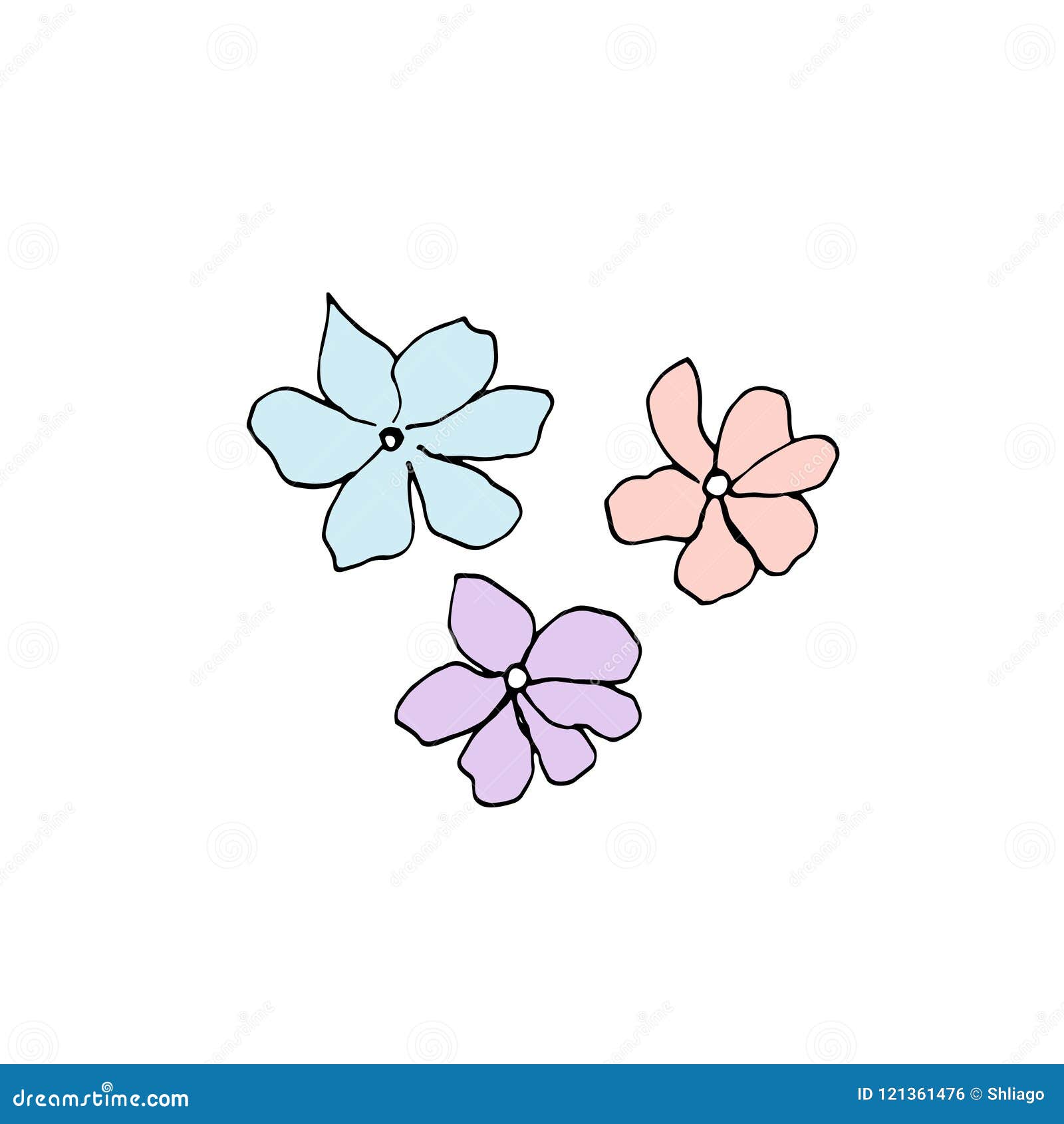 Neroli Orange Floral Vector Illustration On White Decorative Neroli