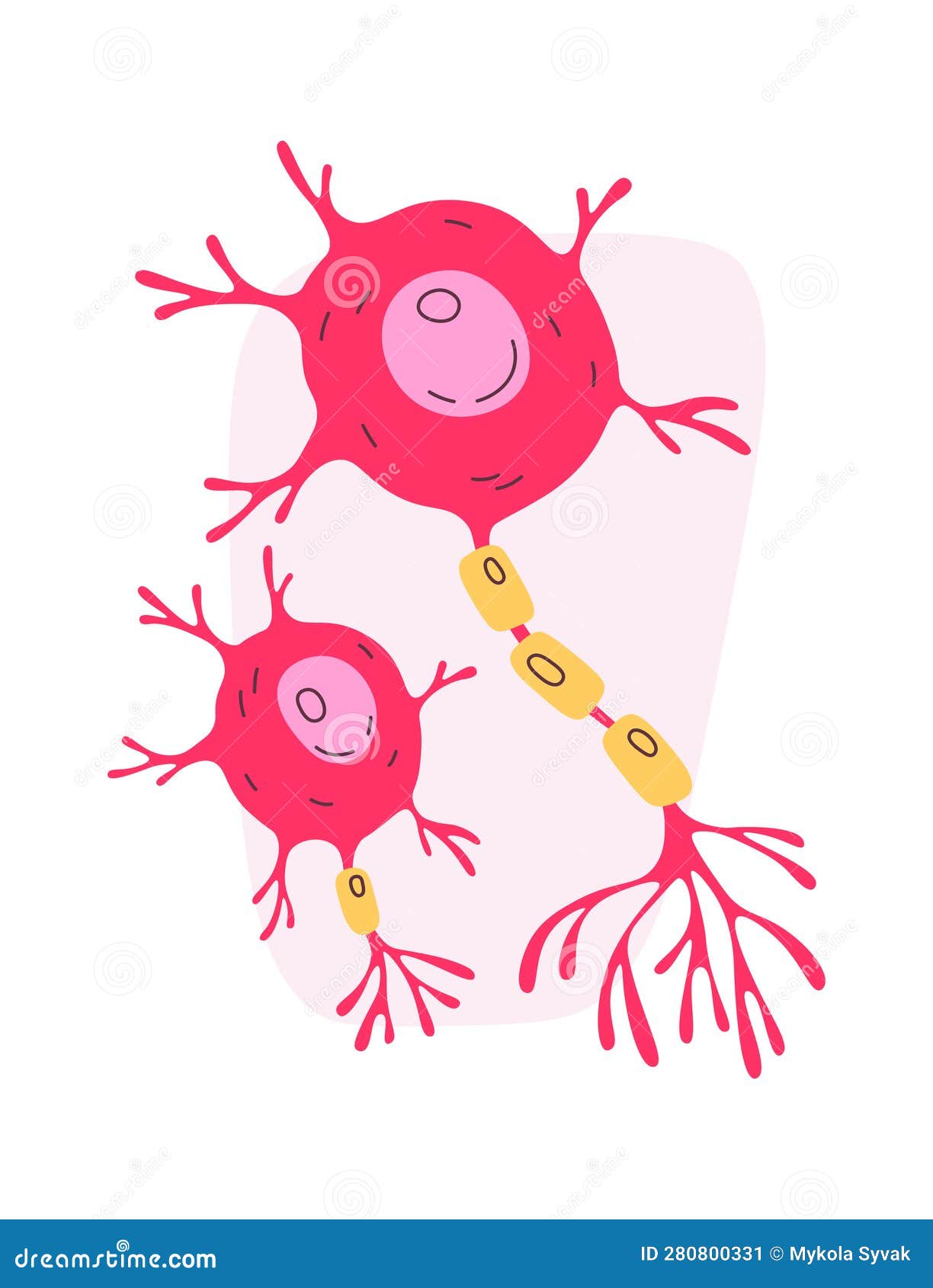 Nerv Human Cells stock vector. Illustration of nucleus - 280800331