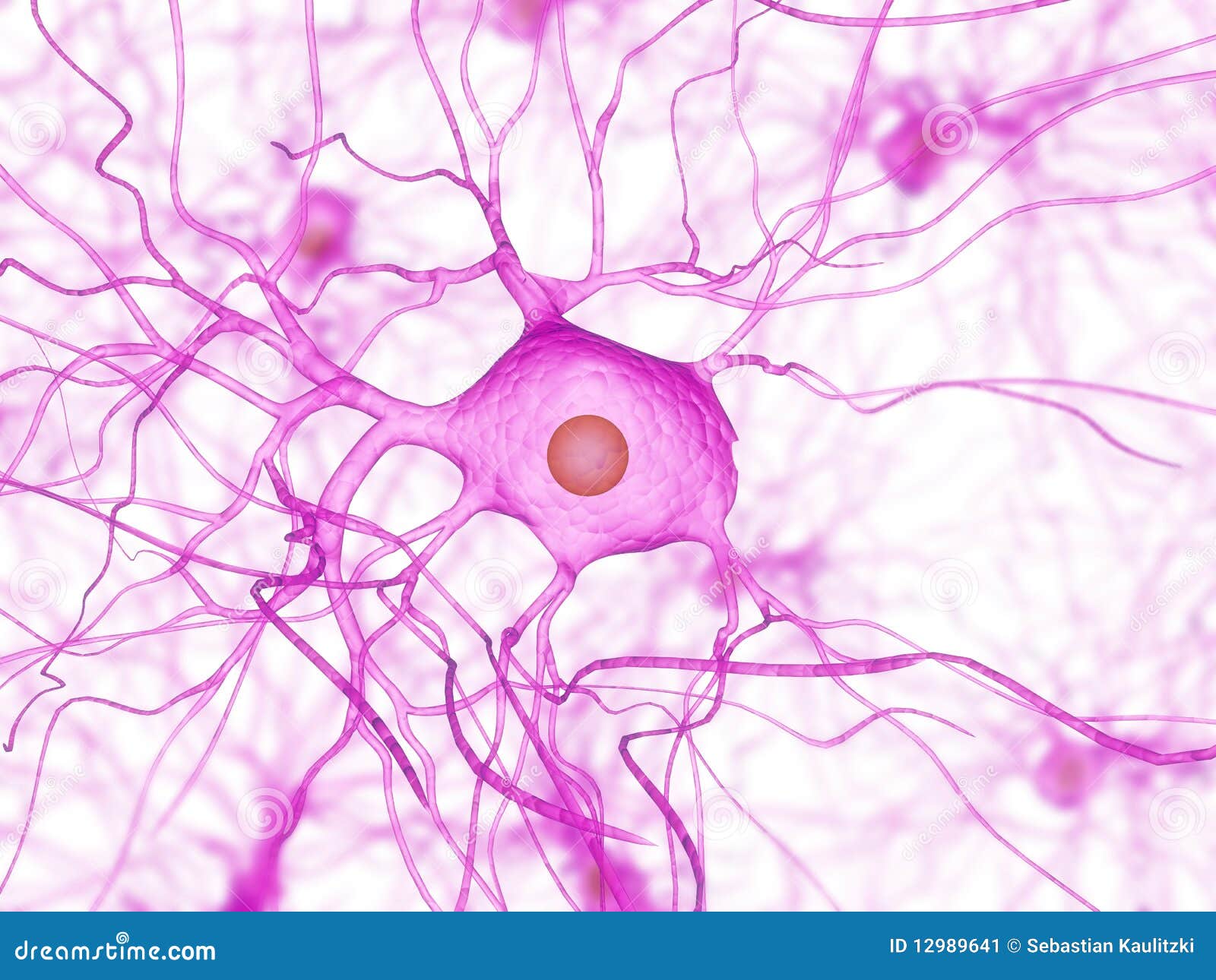 Nerve cell stock illustration. Illustration of medical - 12989641